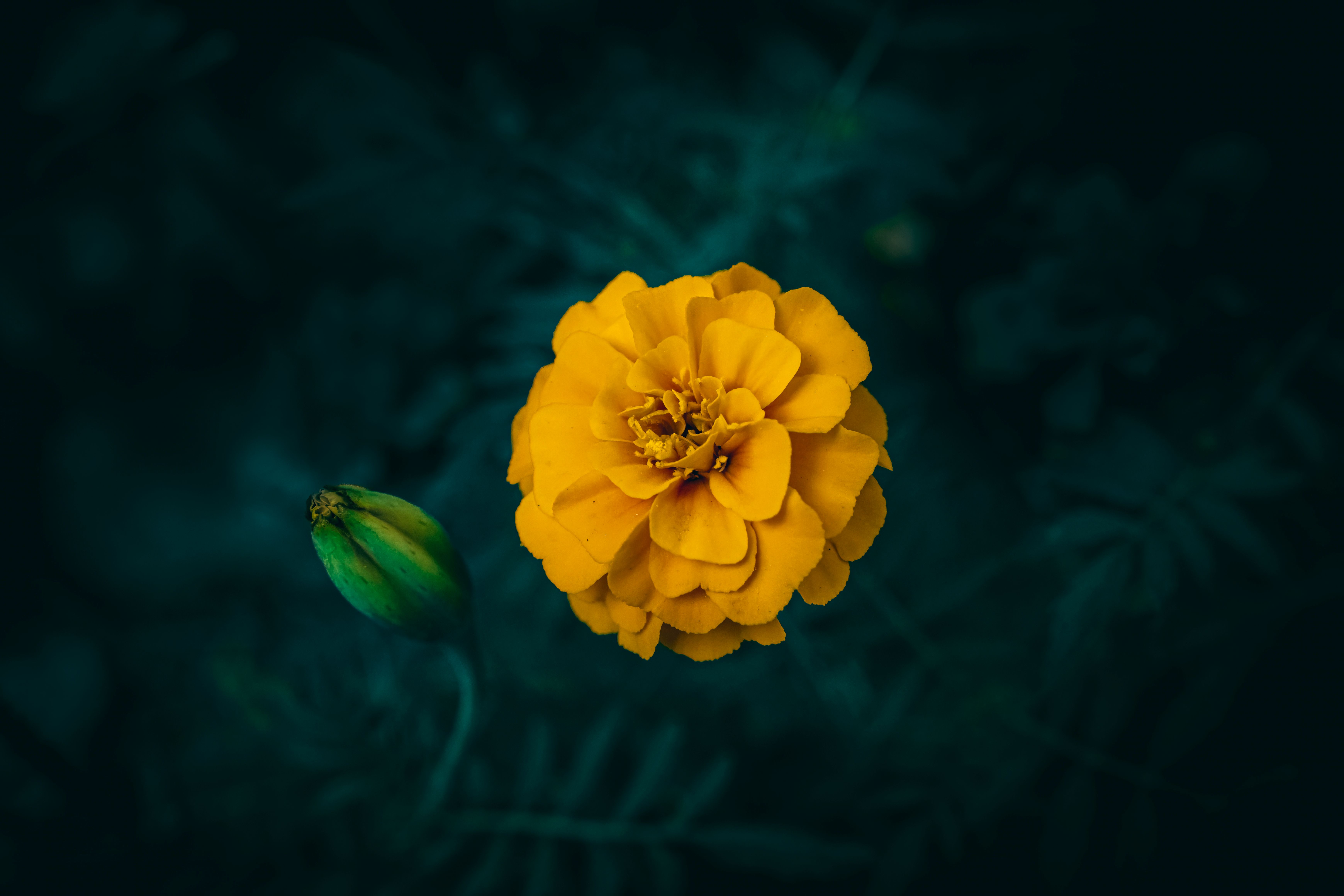 Background Cerah Photos, Download The BEST Free Background Cerah Stock ...
