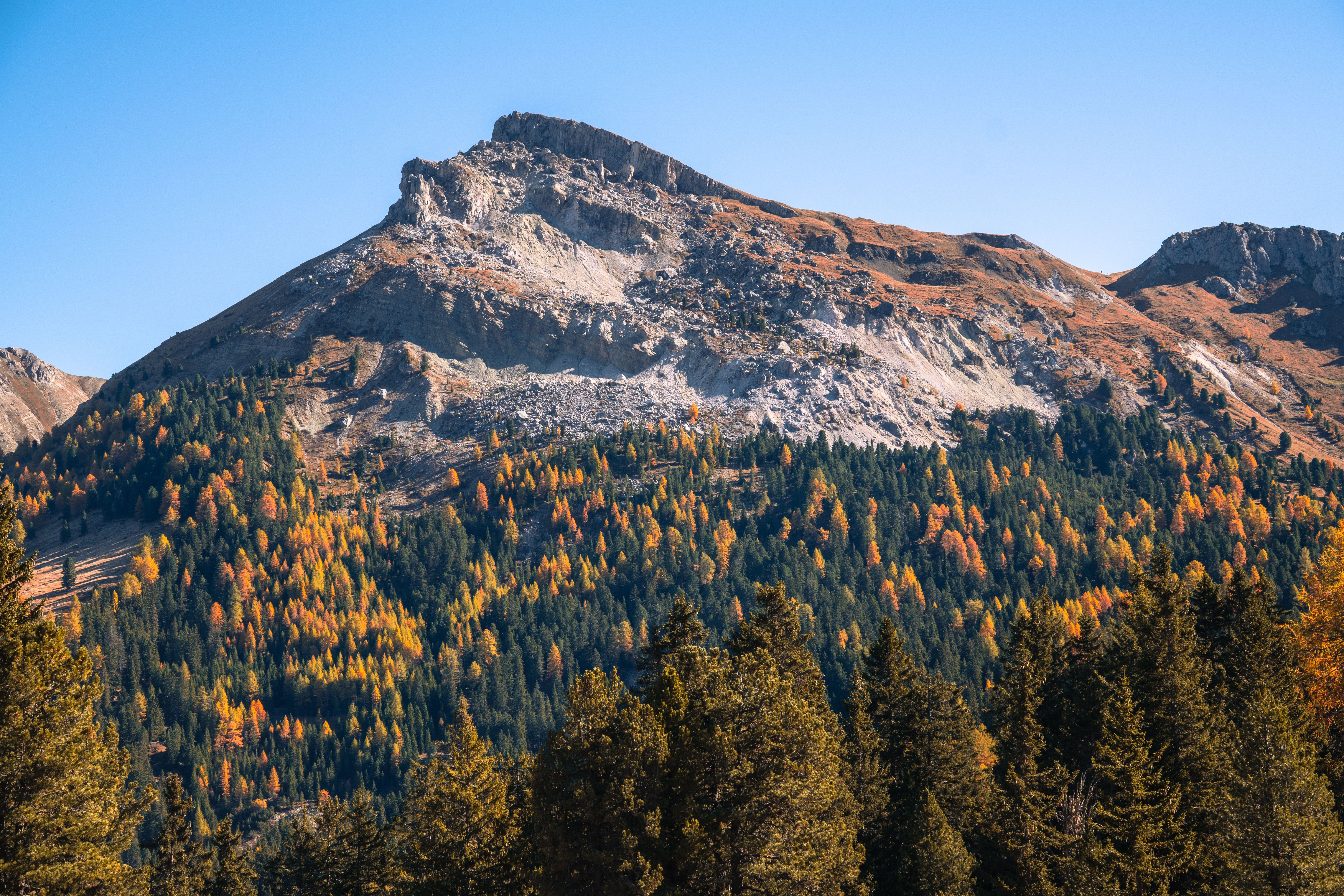 Deciduous Forest Photos, Download The BEST Free Deciduous Forest Stock ...