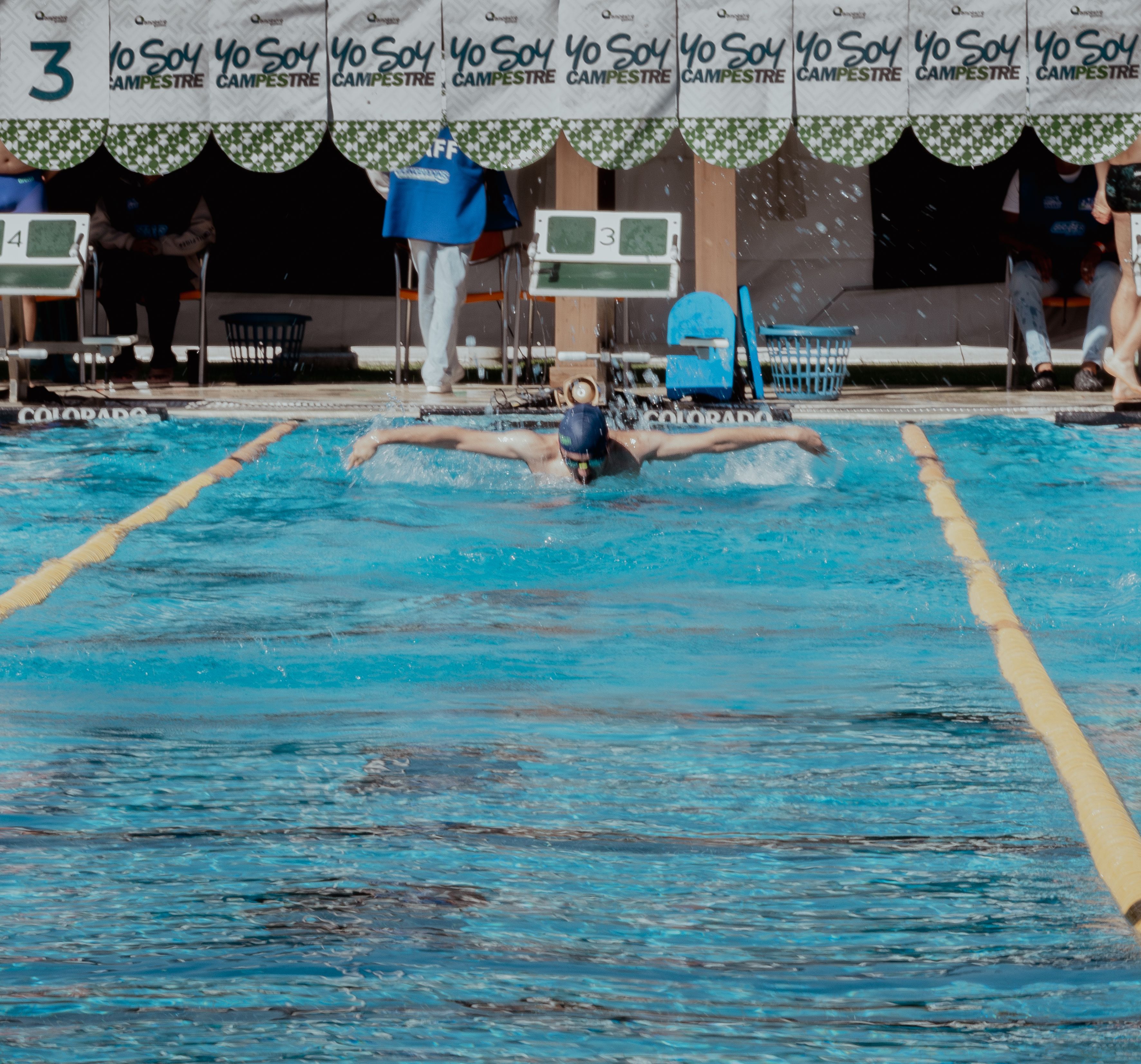 Competitive swimmer in butterfly stroke race · Free Stock Photo