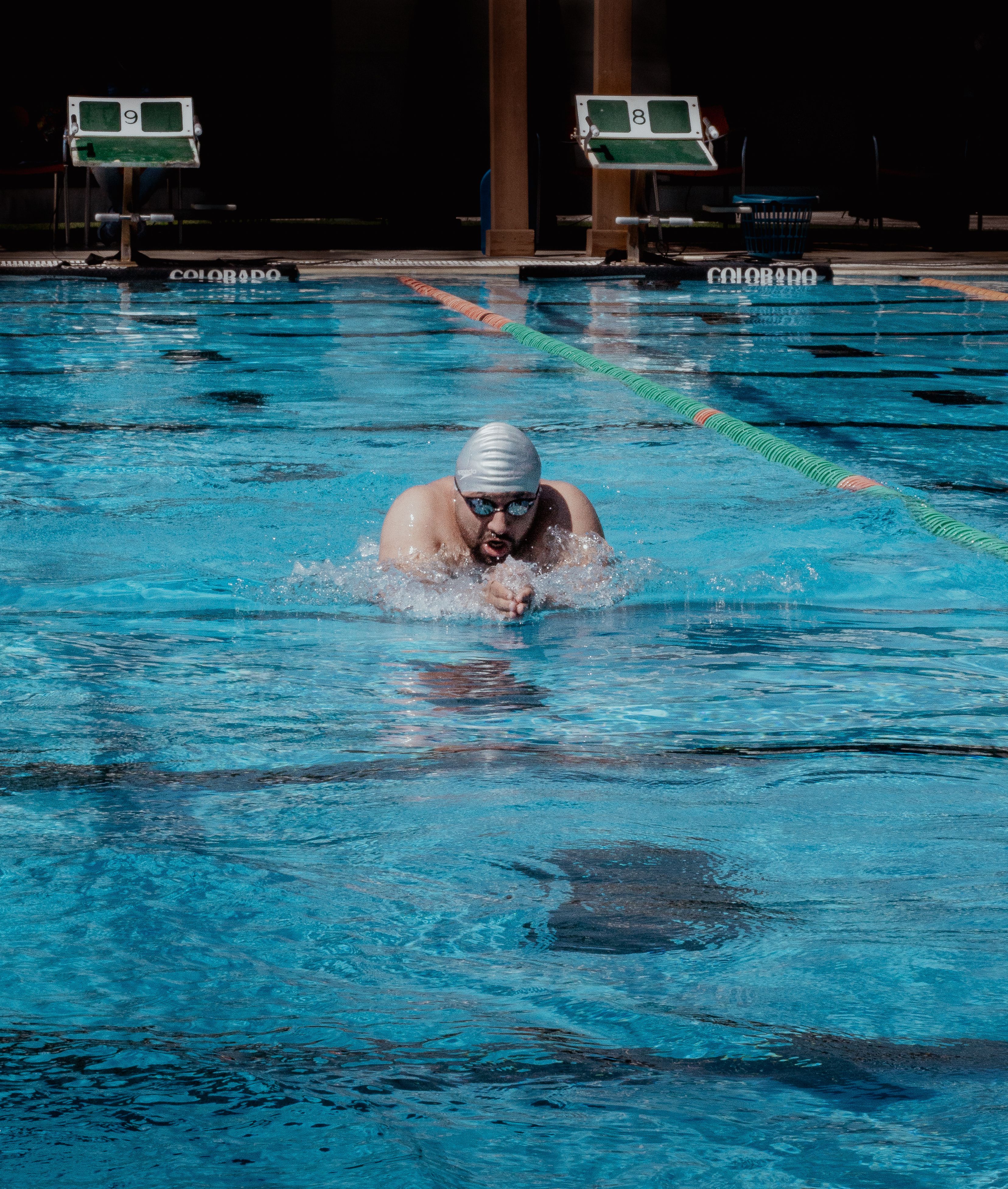 Professional Swimmer in Competition Pool · Free Stock Photo