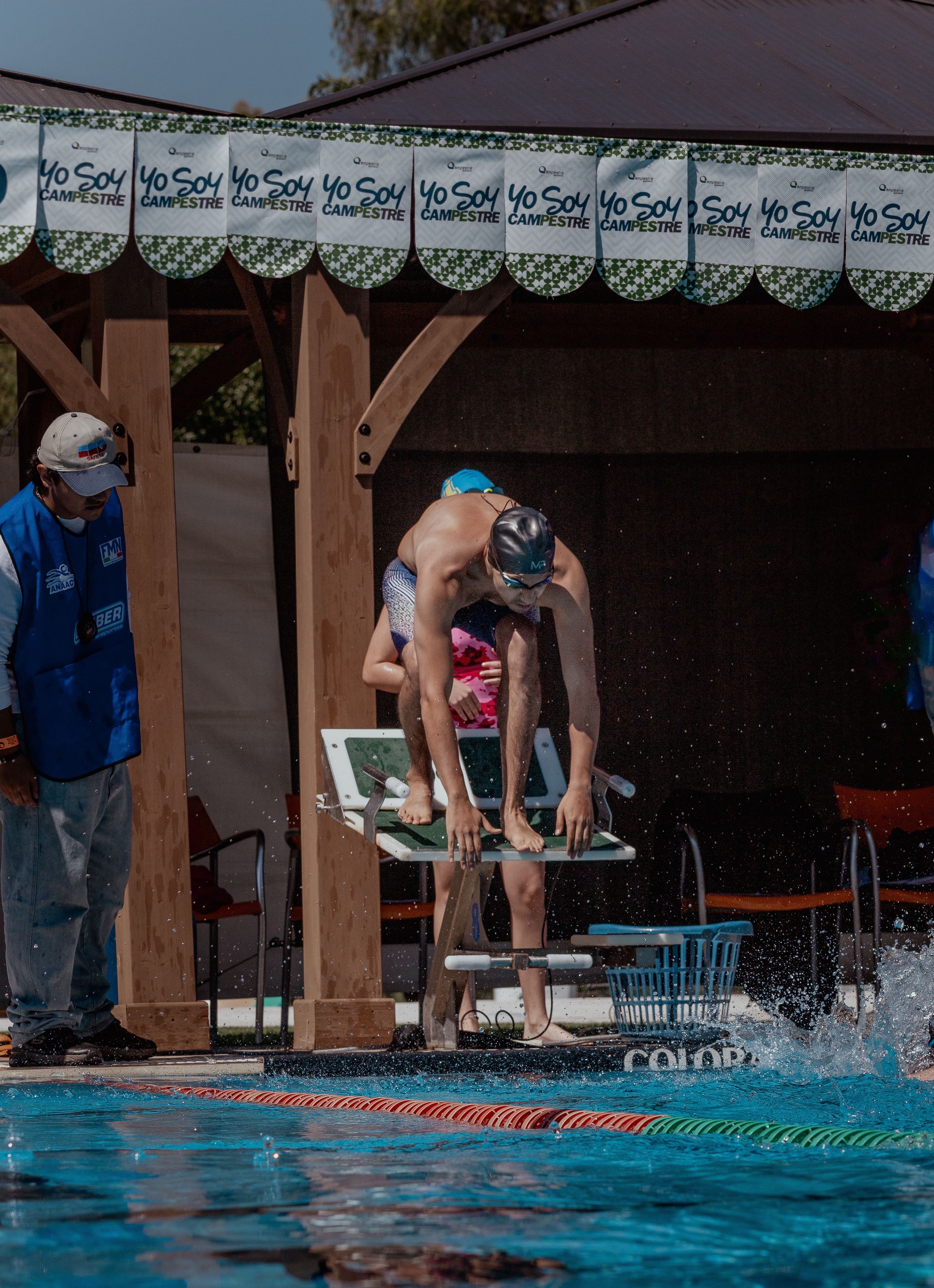Swimmer Diving into Pool During Competition · Free Stock Photo