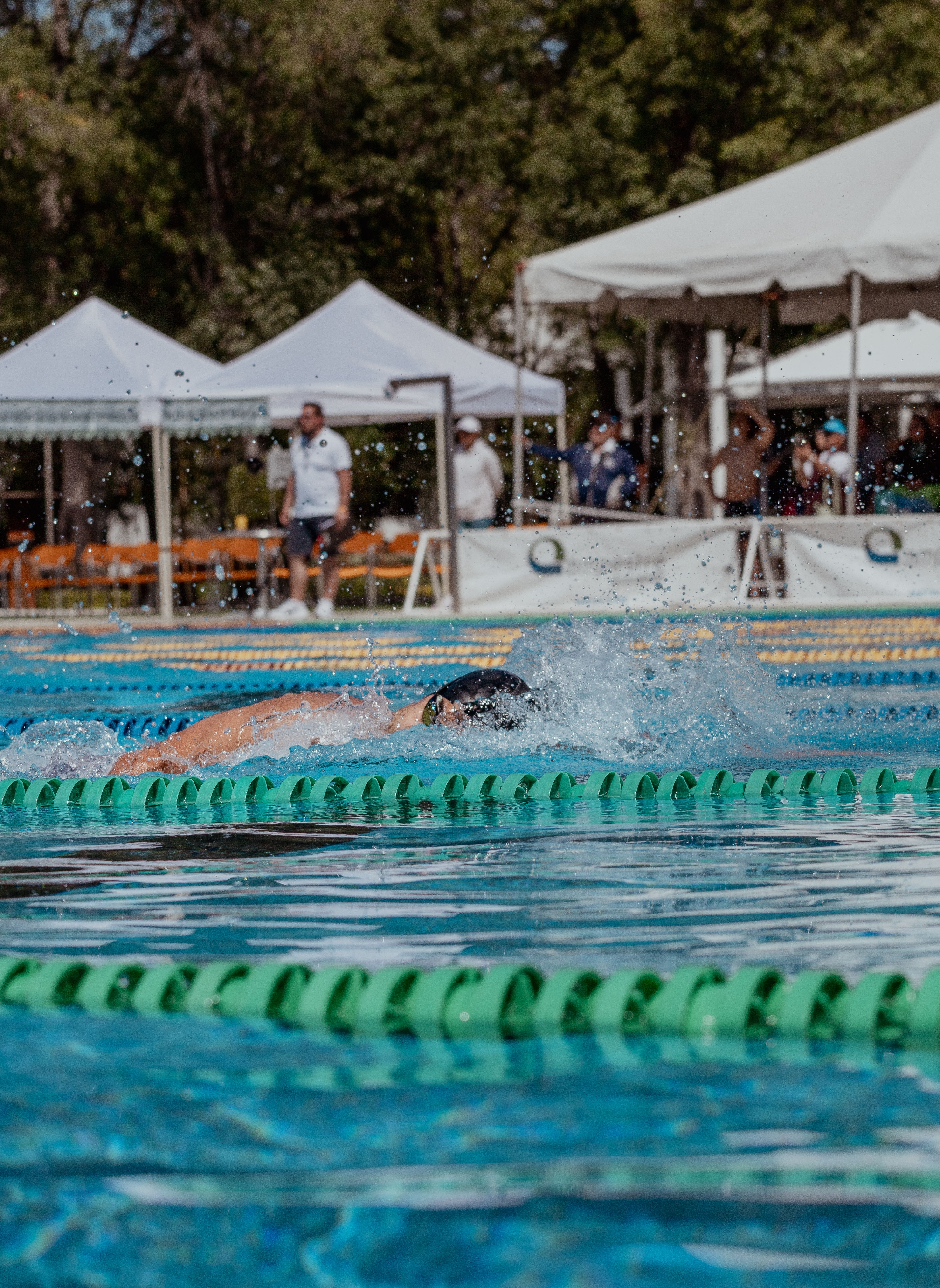 Competitive Swimming Race in Outdoor Pool · Free Stock Photo