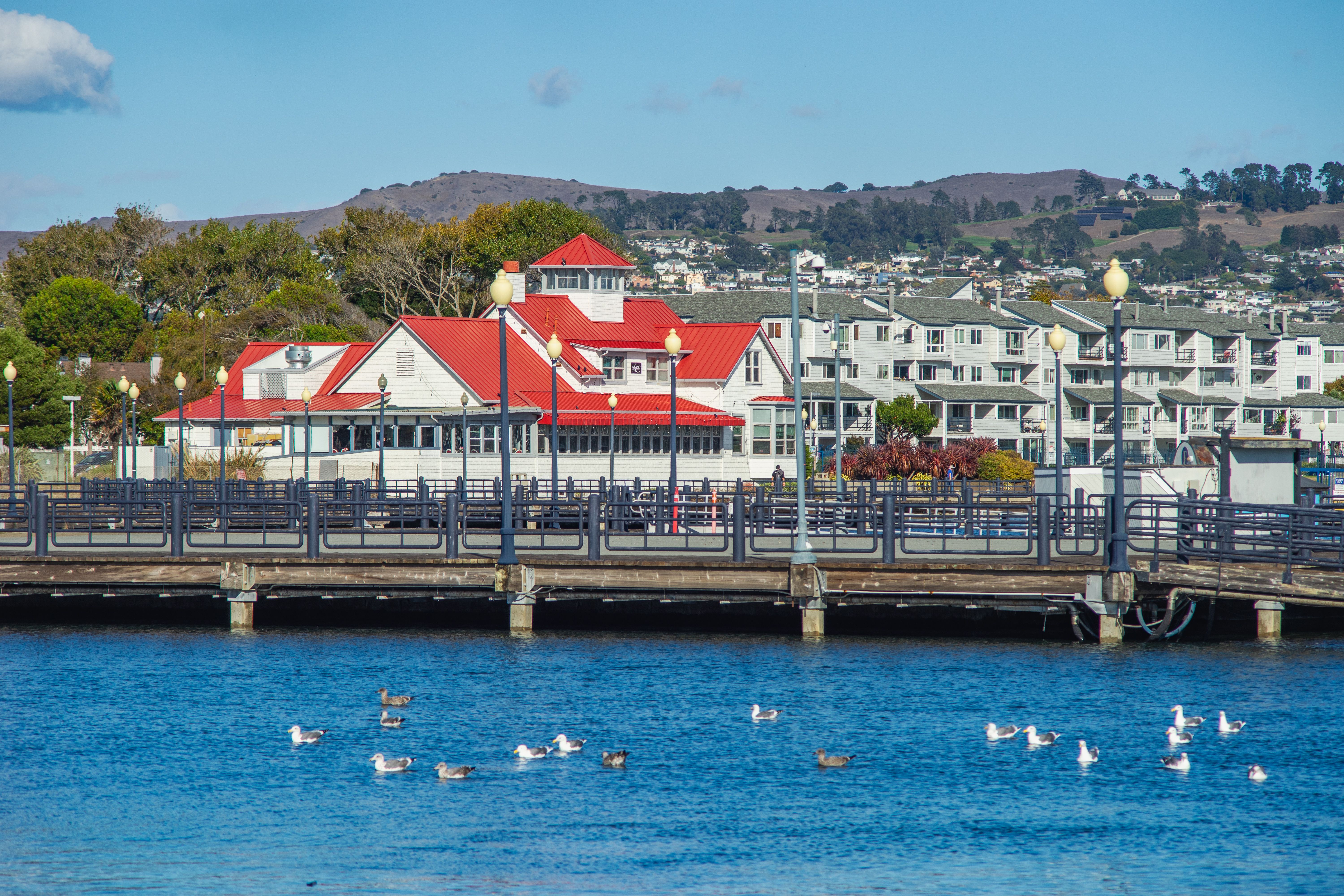 Scenic Waterfront View with Pier and Buildings · Free Stock Photo