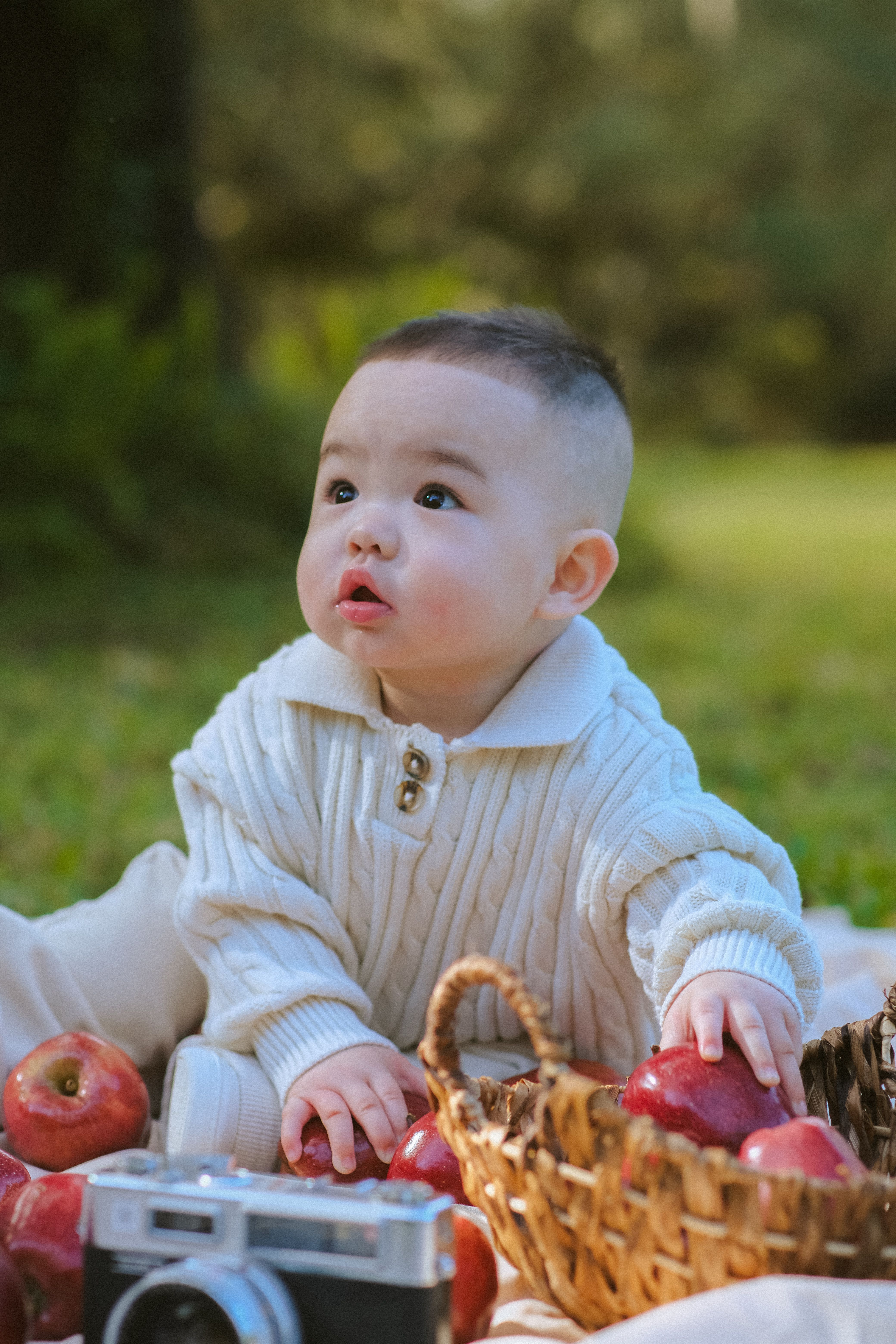 Cute Fruit Photos, Download The BEST Free Cute Fruit Stock Photos & HD ...