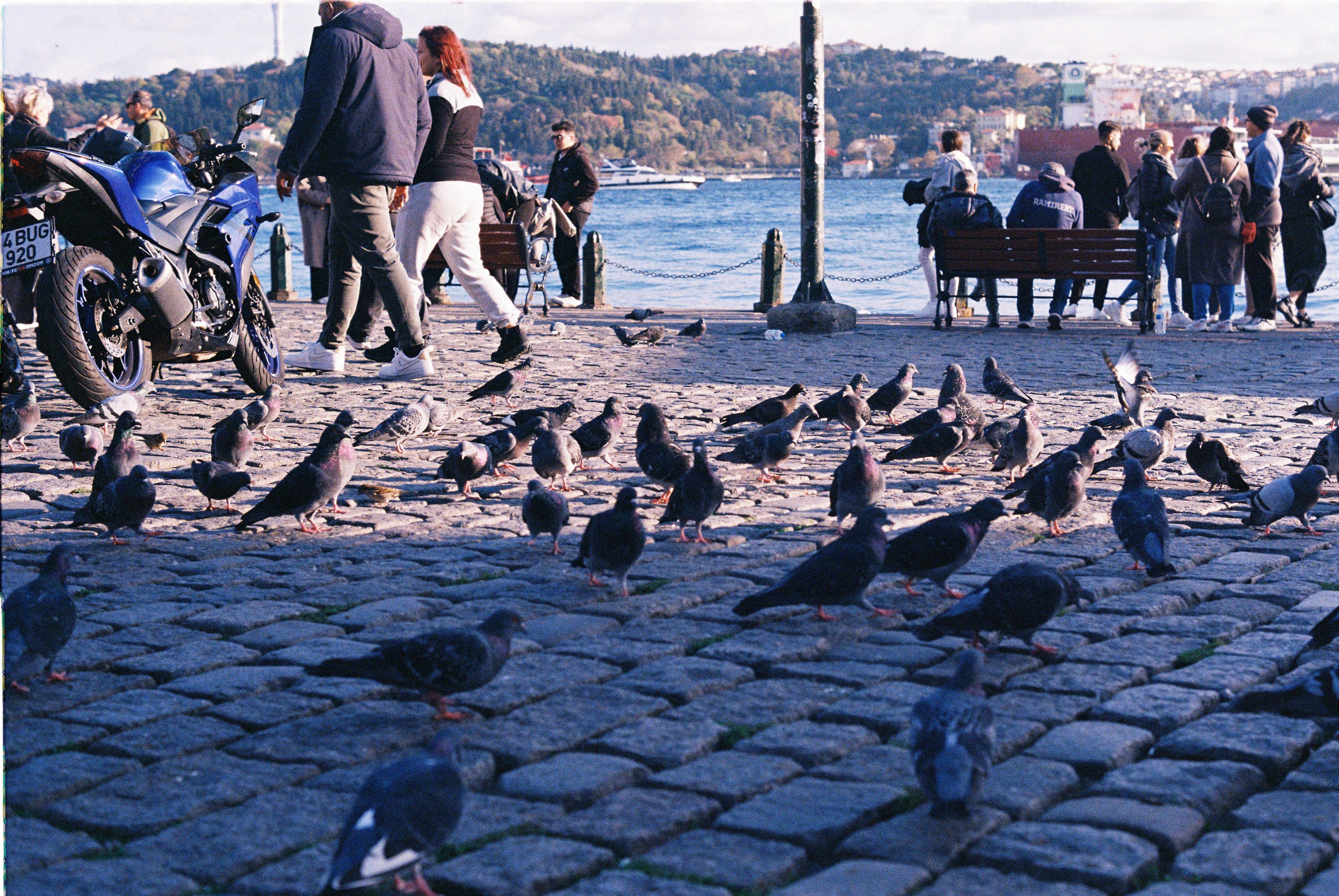 Person Walking Side View Photos, Download The BEST Free Person Walking ...