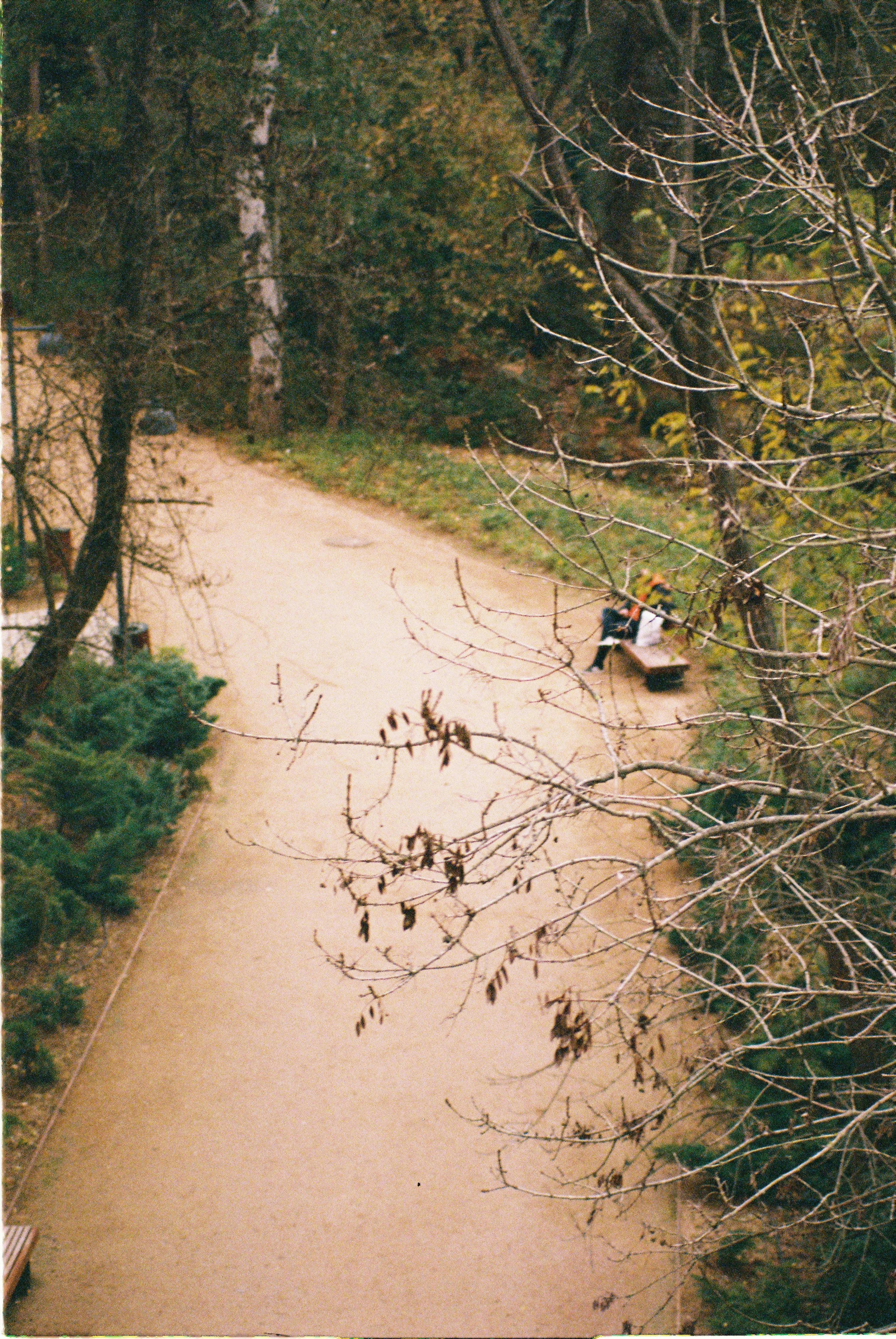 Person Sitting On A Bench Photos, Download The BEST Free Person Sitting ...