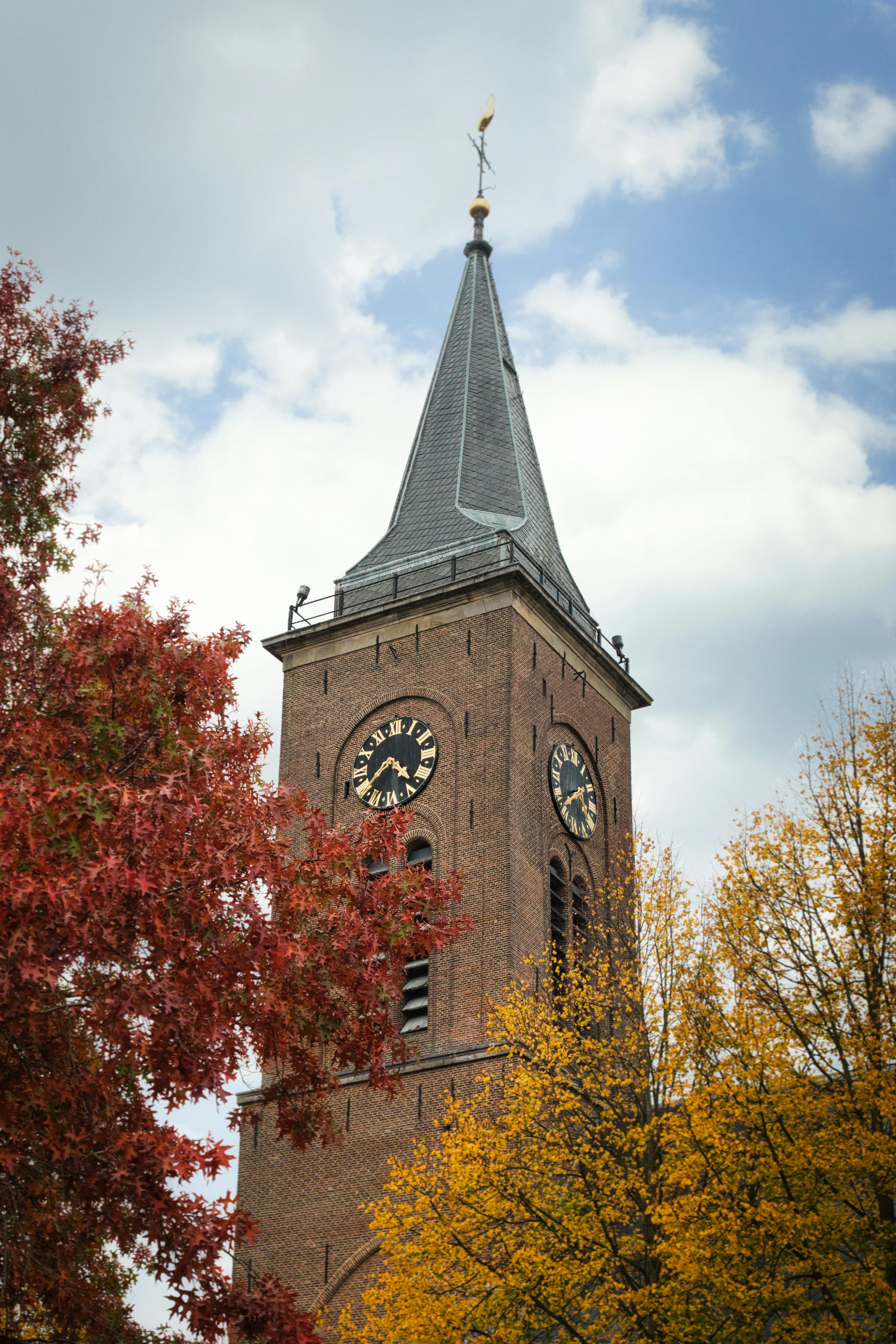 Fall Back Time Photos, Download The BEST Free Fall Back Time Stock ...