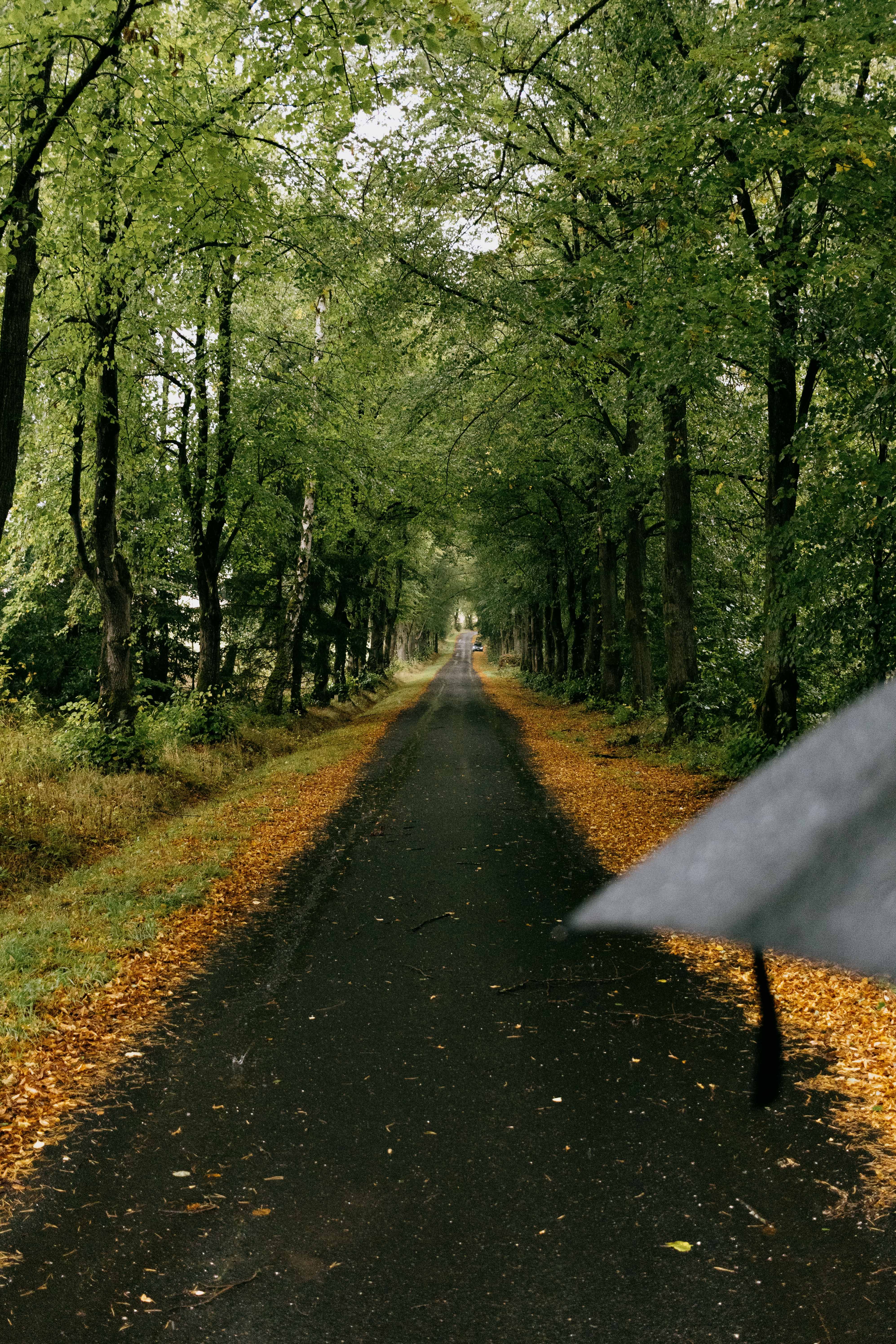 Dark Weather Photos, Download The BEST Free Dark Weather Stock Photos ...