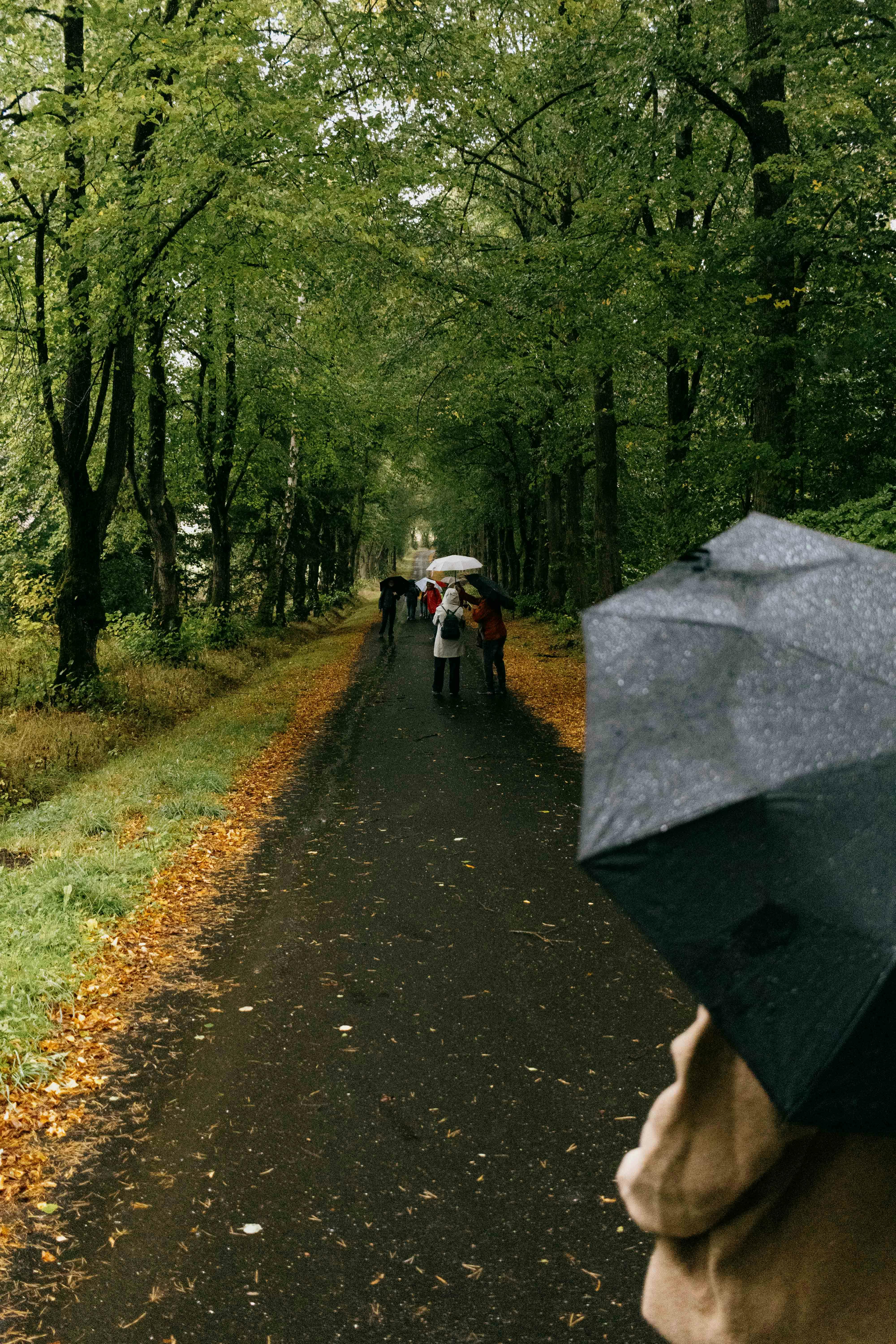 Everyone+Pointing+At+Wallpaper+Meme Photos, Download The BEST Free ...