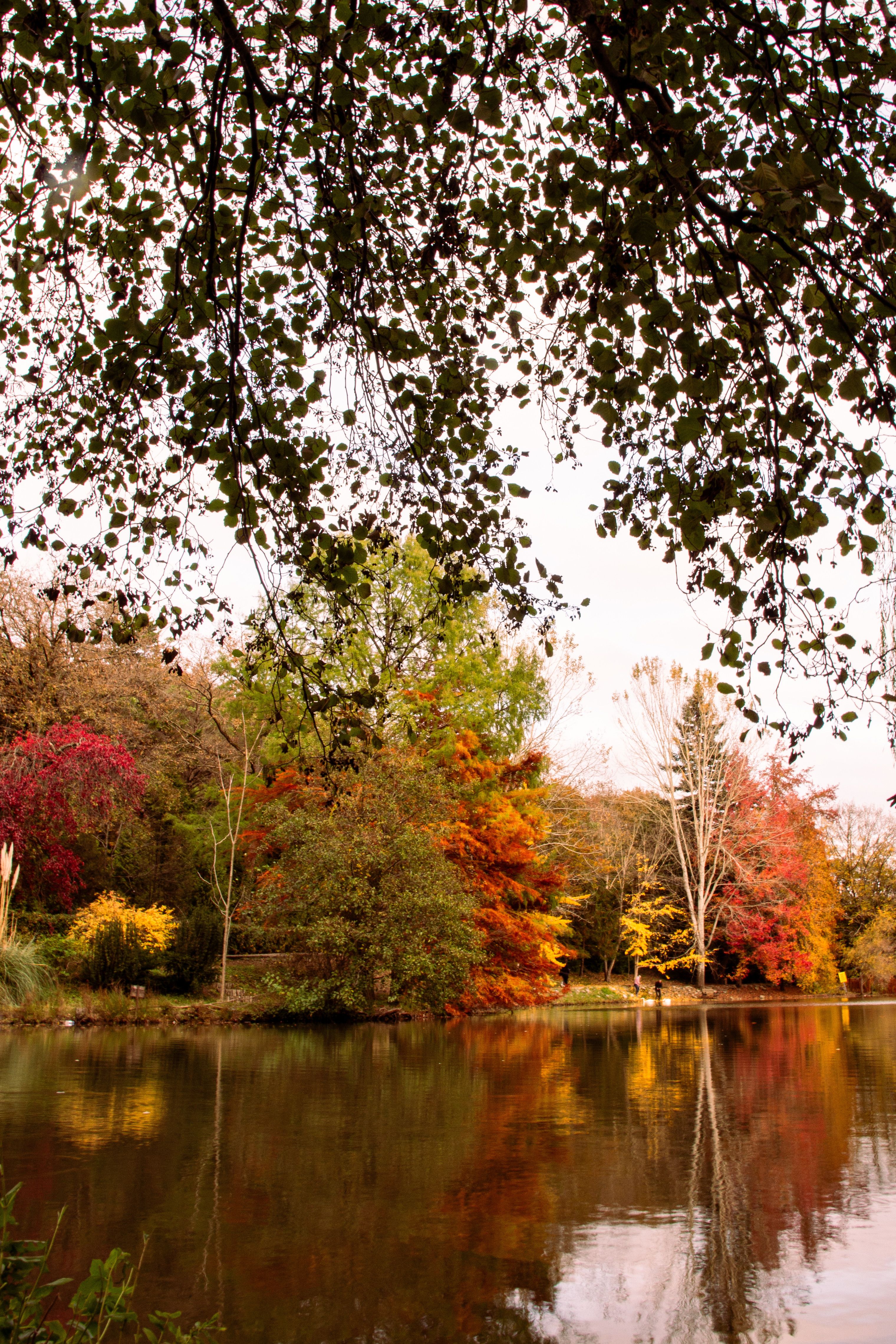 有关autum, landscape, nature, riverside park, tree, treescape, view ...
