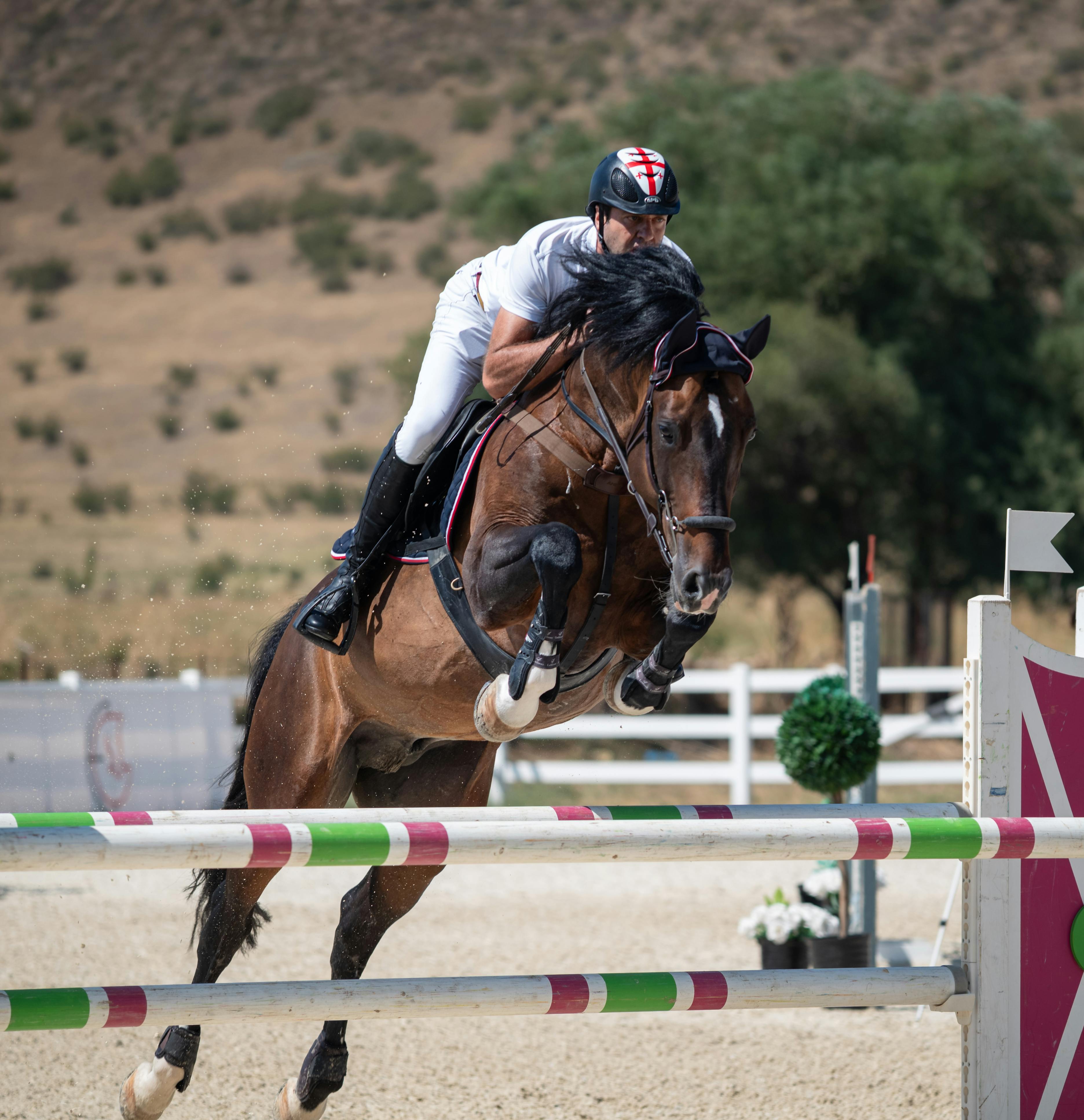 Birth Control Iud Photos, Download The BEST Free Birth Control Iud ...