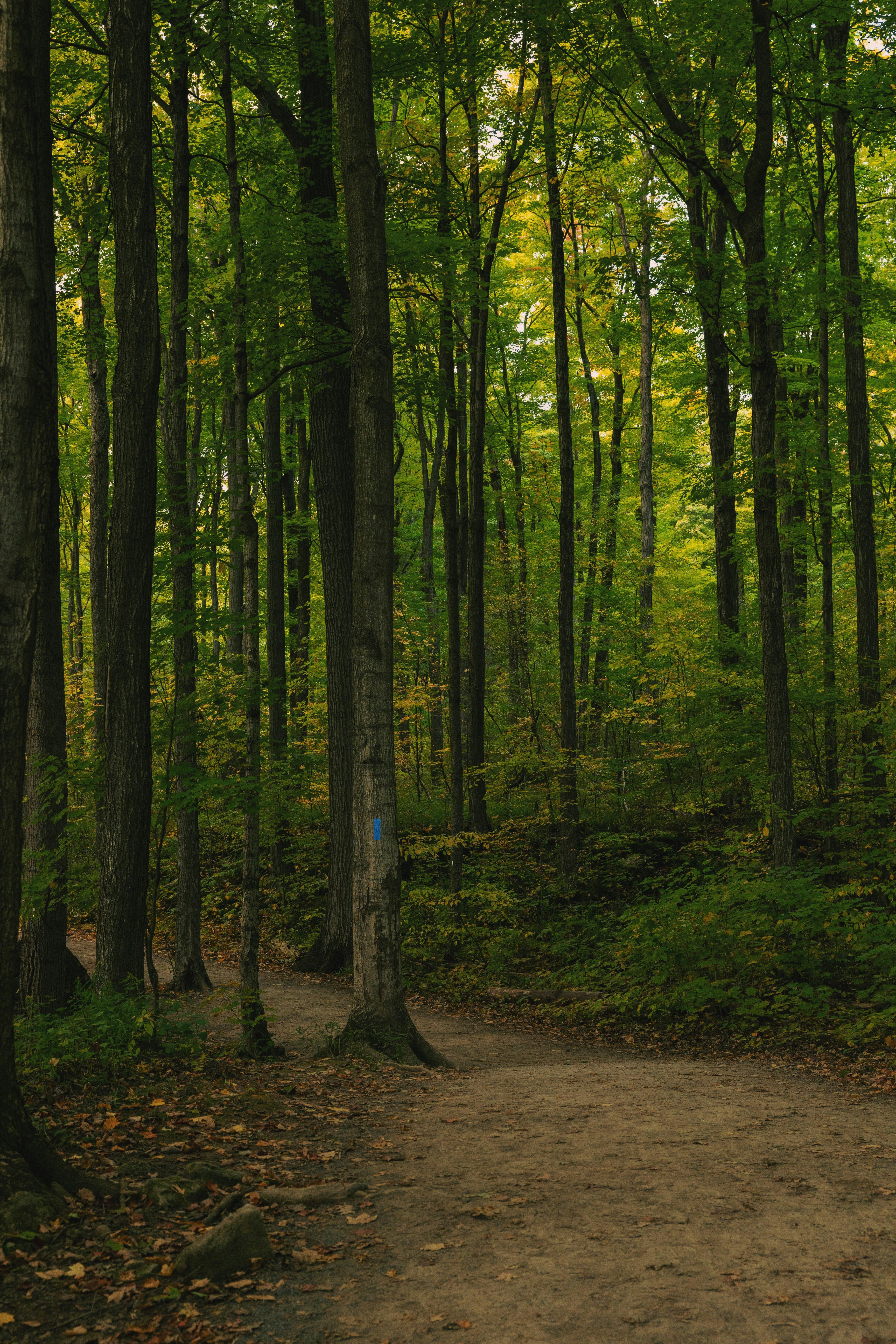 Calming Landscape Photos, Download The BEST Free Calming Landscape ...