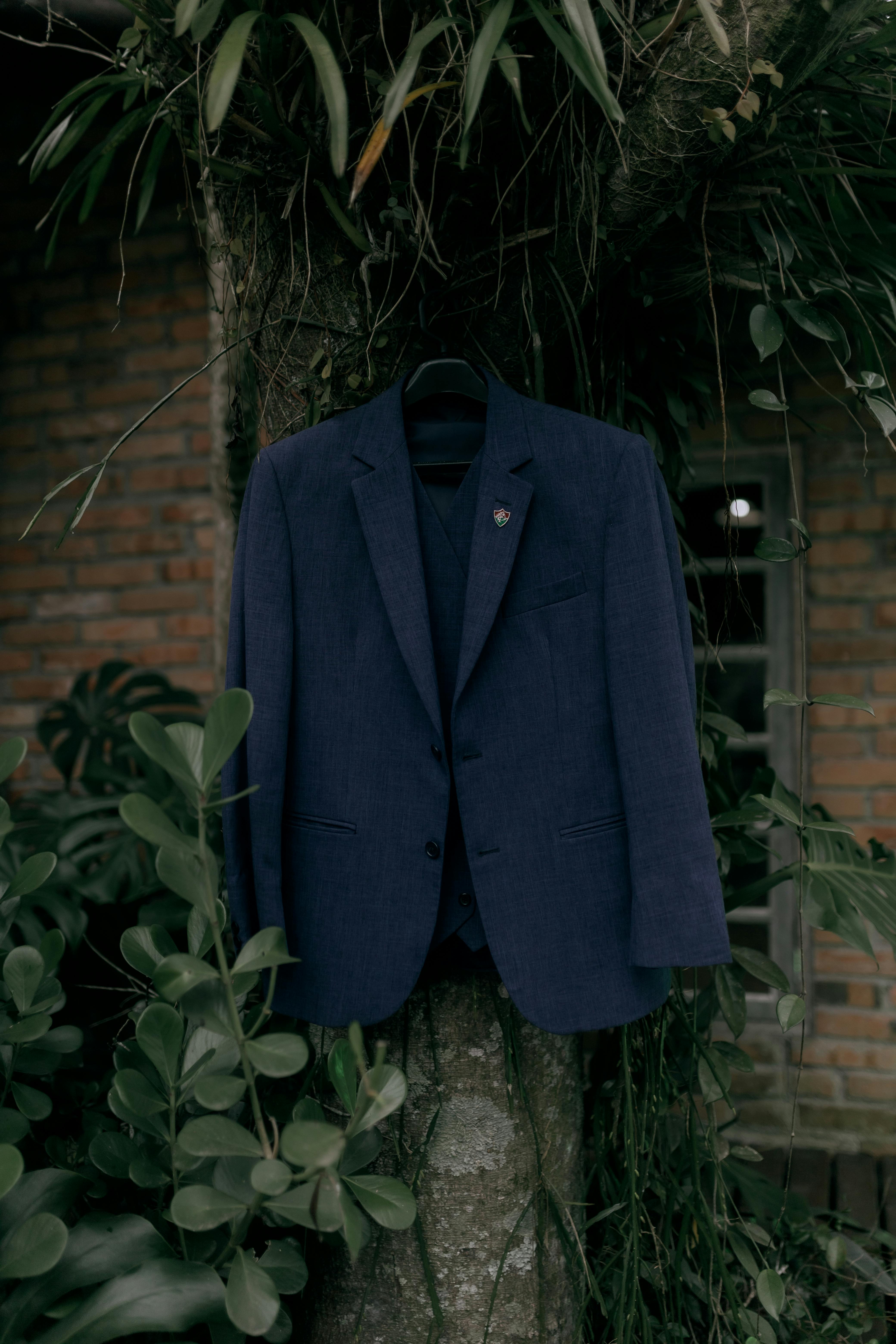 Tree Texture Photos, Download The BEST Free Tree Texture Stock Photos ...