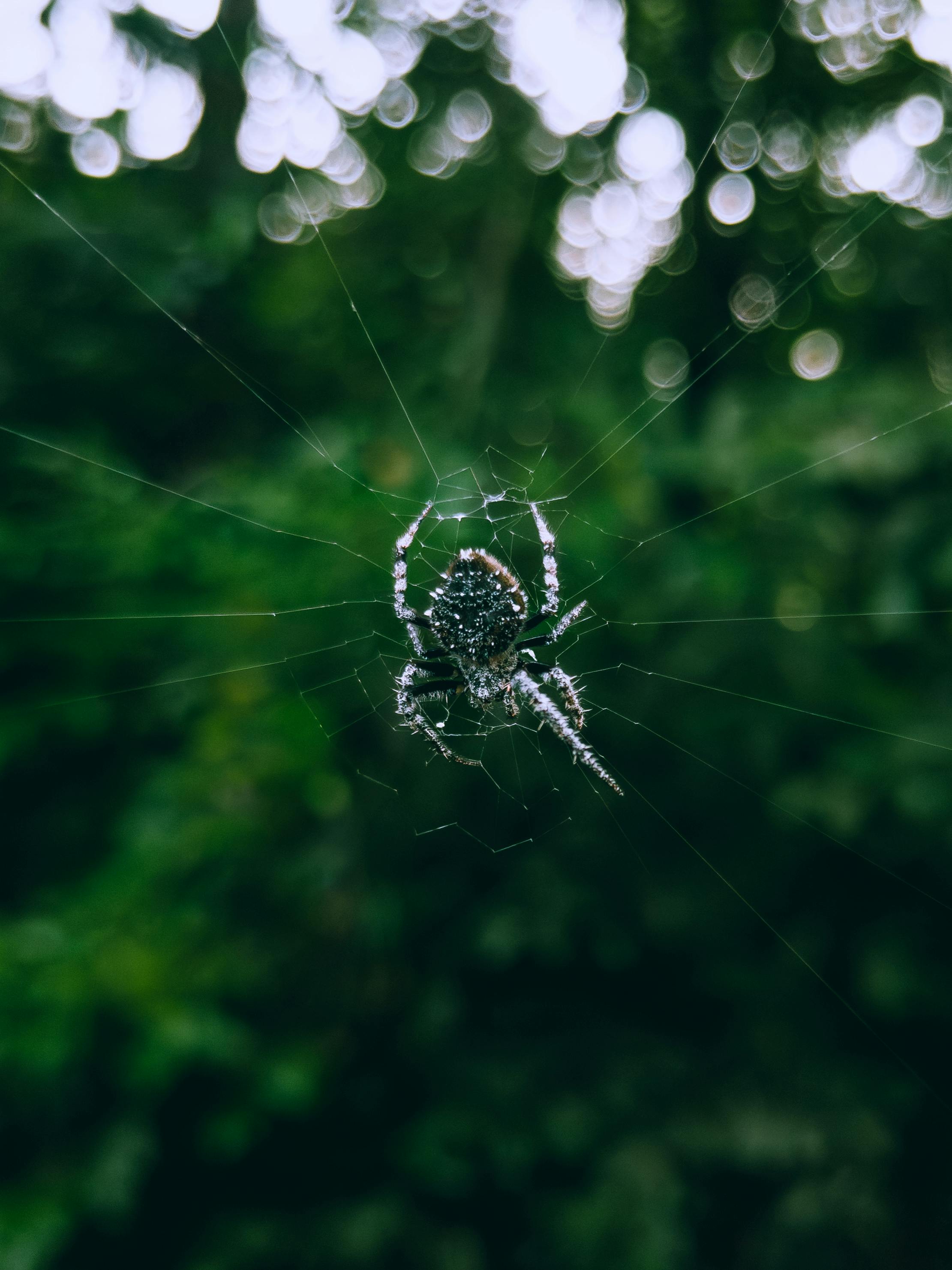 5.489+ Fotos y Imágenes de Bokep+ocil+web Gratis · Banco de Fotos Gratis