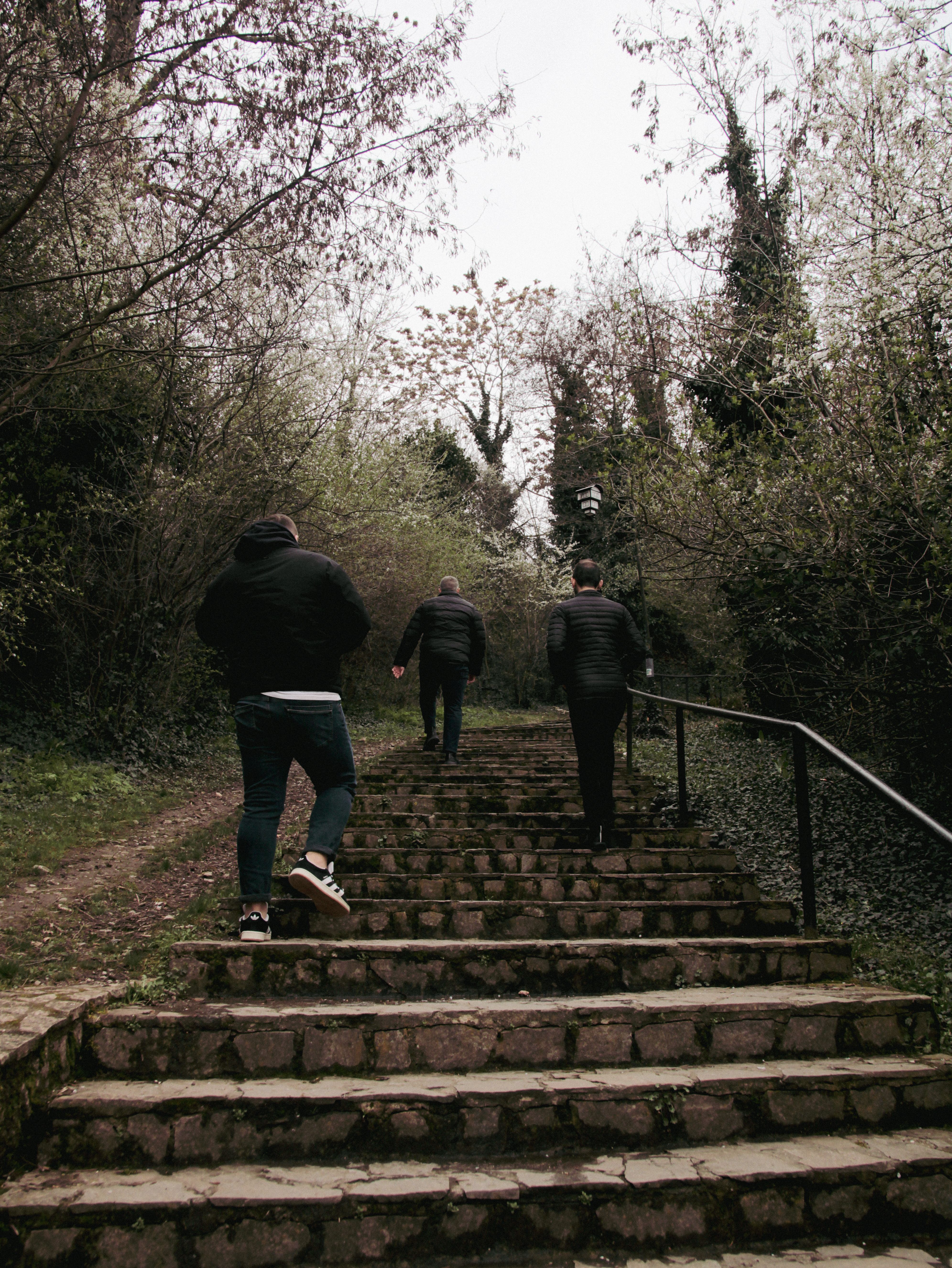 Men Walking on Stone Steps in Forest Pathway · Free Stock Photo