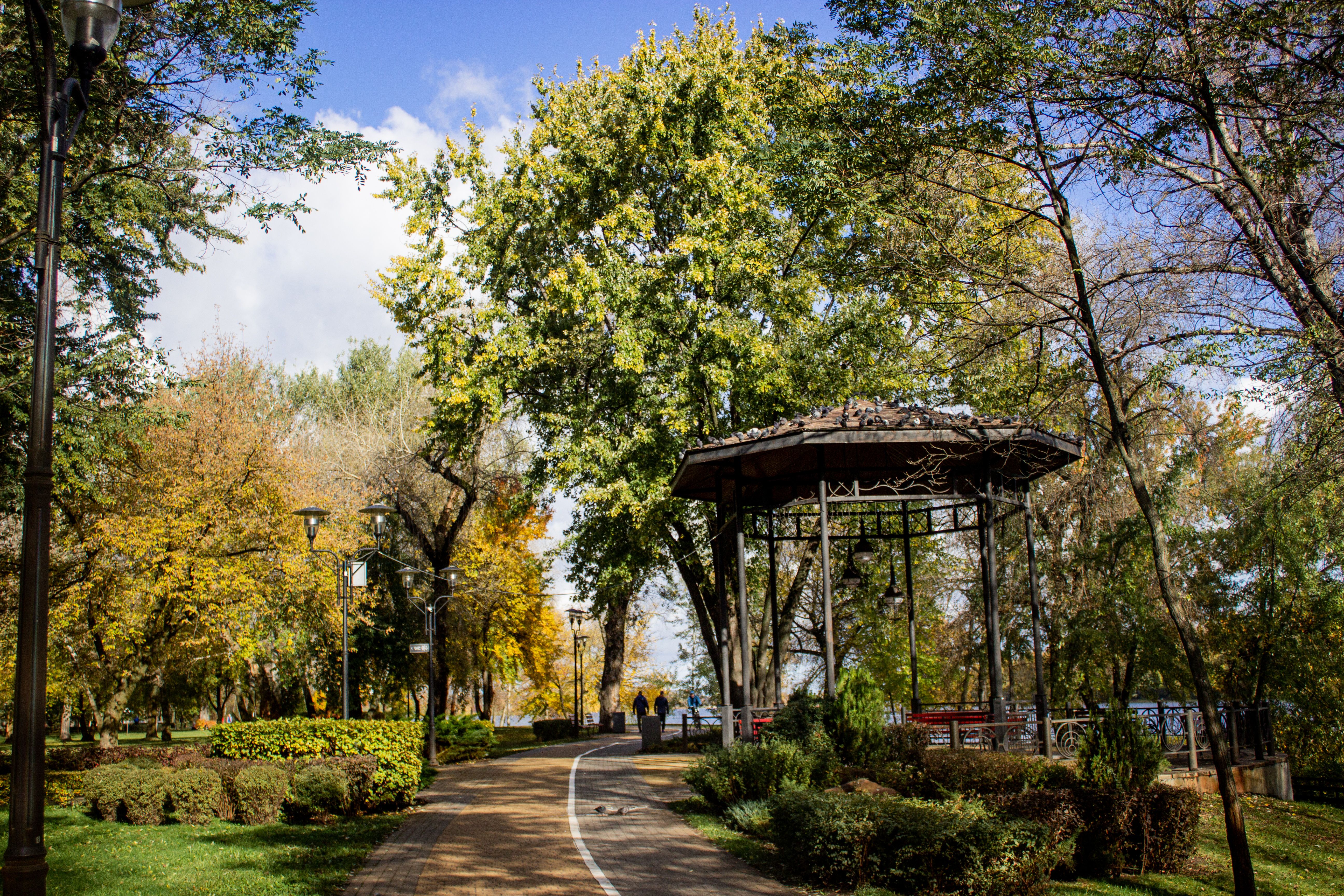 Peaceful Autumn Park with Gazebo and Pathway · Free Stock Photo