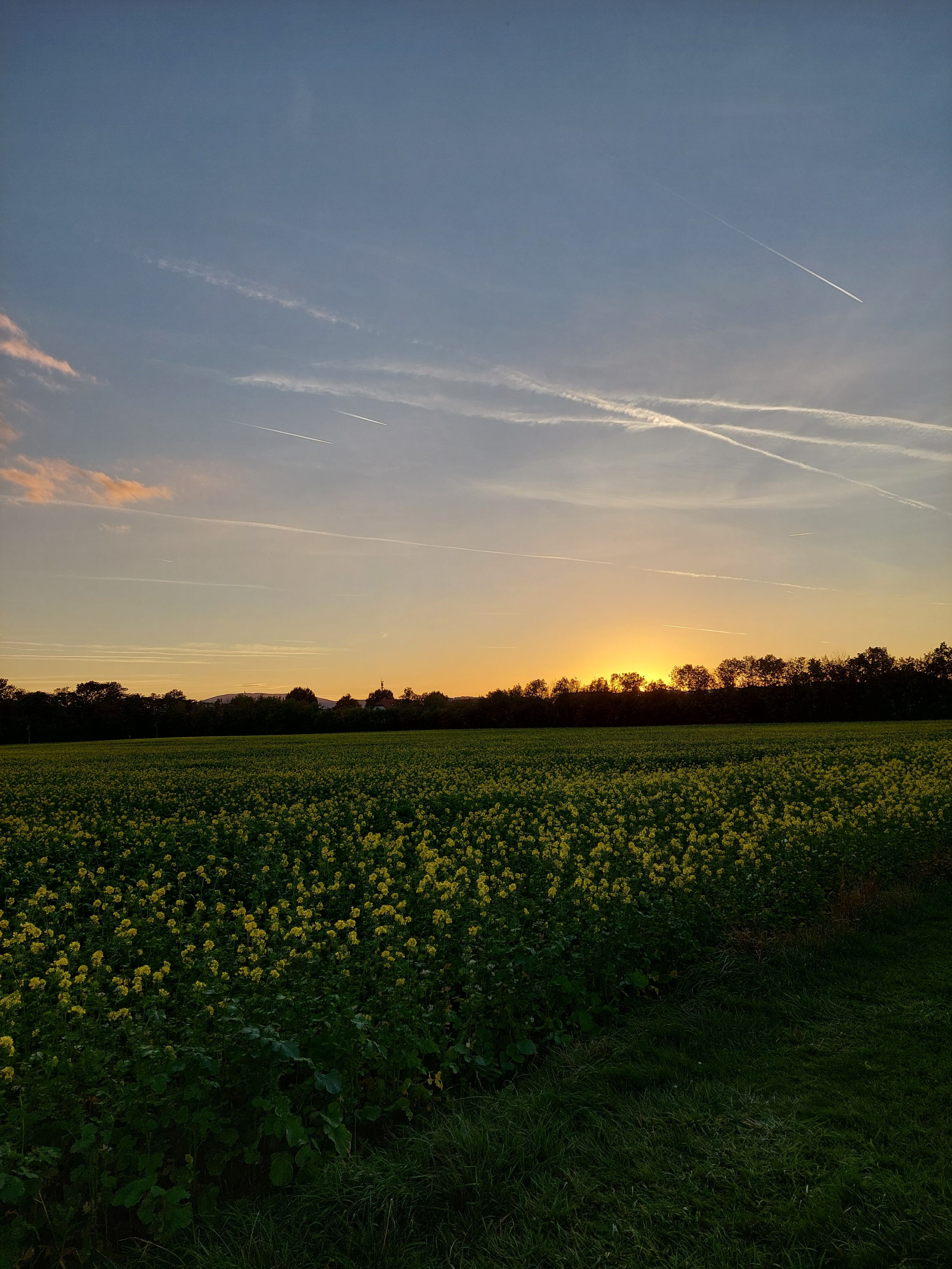 Beautiful Austrian Field at Sunset · Free Stock Photo