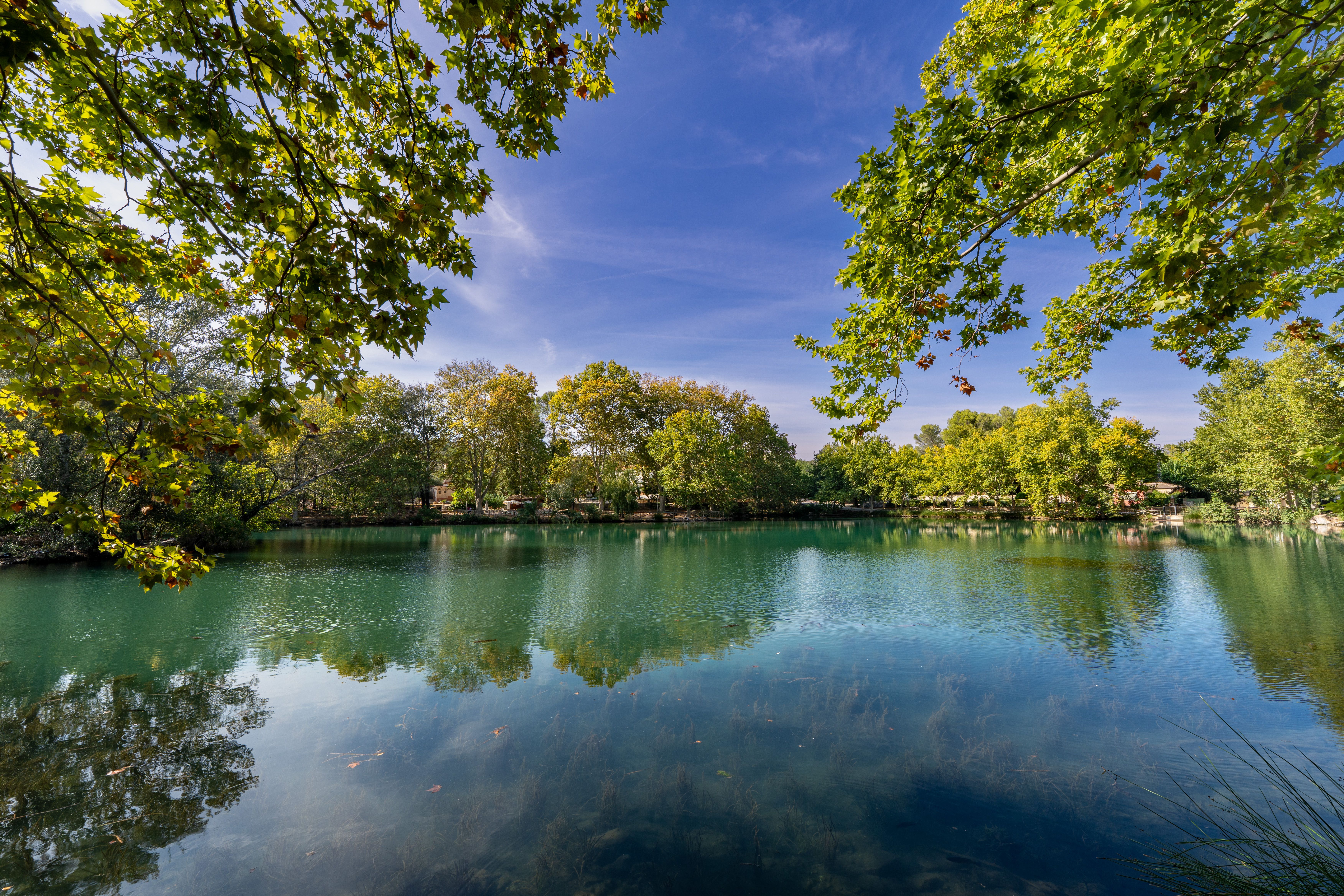Tranquil Lakeside View in Anna, Spain · Free Stock Photo