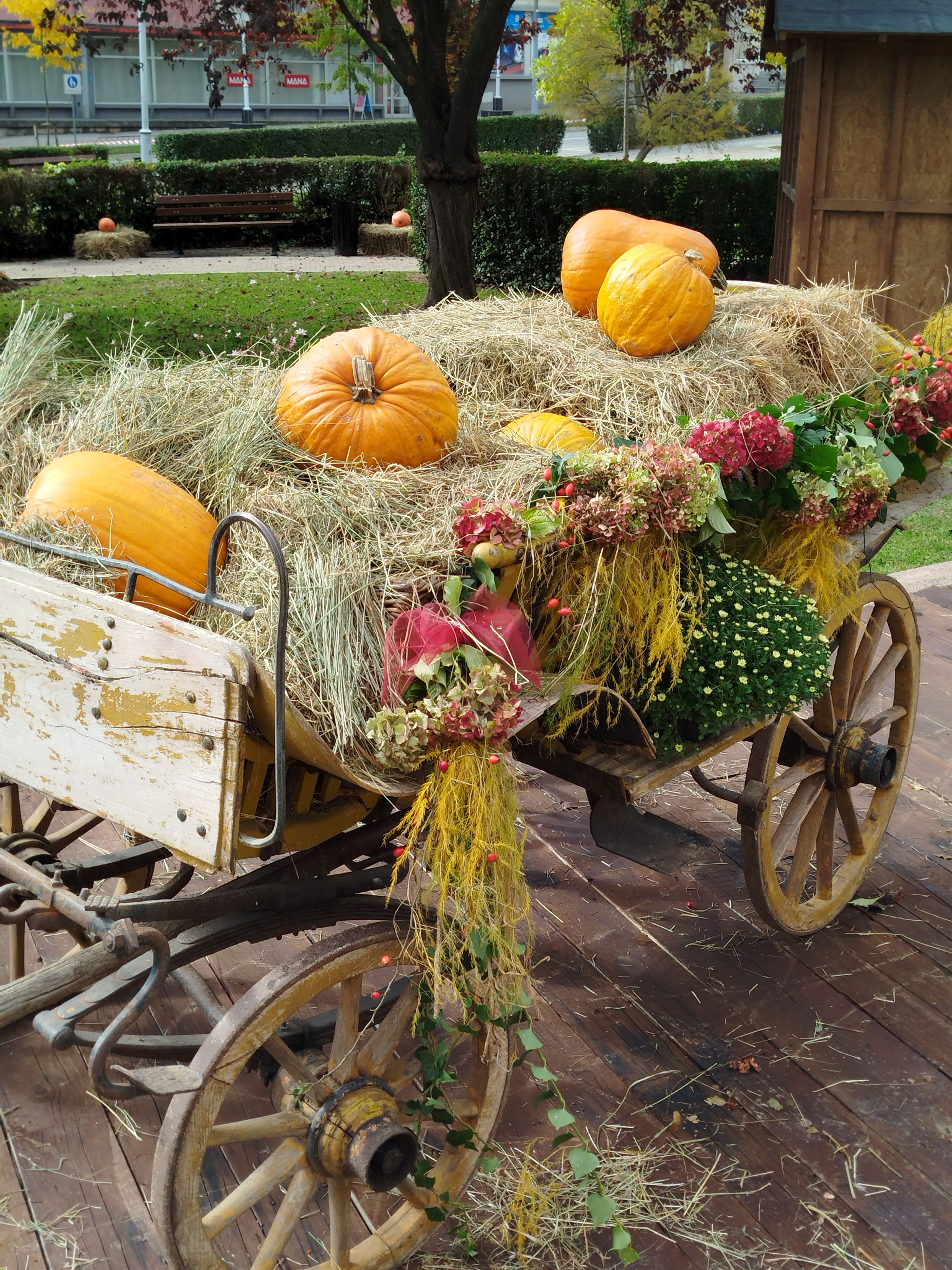 Halloween Hayride Photos, Download The BEST Free Halloween Hayride ...