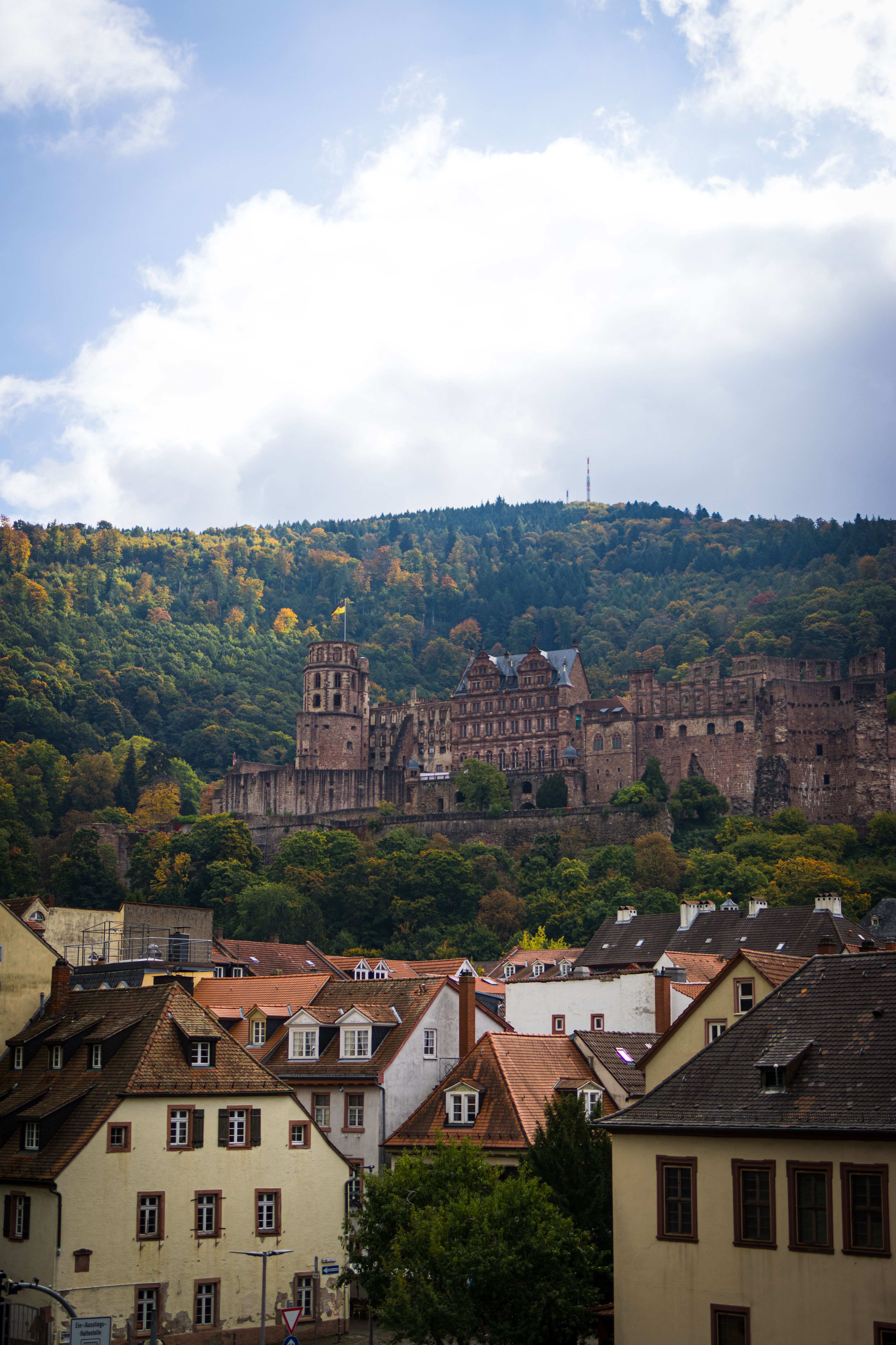 Heidelberg Castle with Scenic View of Town Below · Free Stock Photo