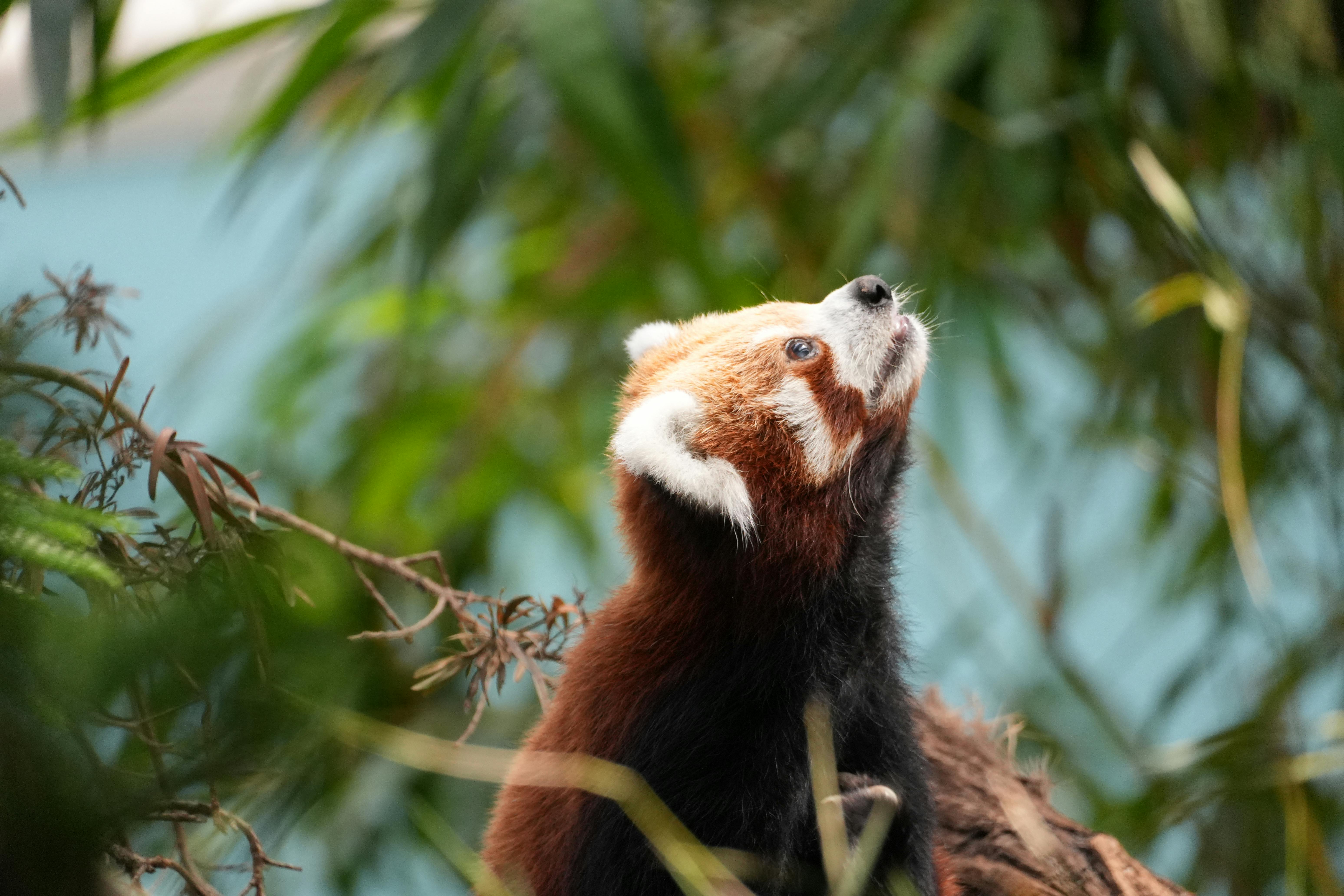 Cute Avatars Photos, Download The BEST Free Cute Avatars Stock Photos ...