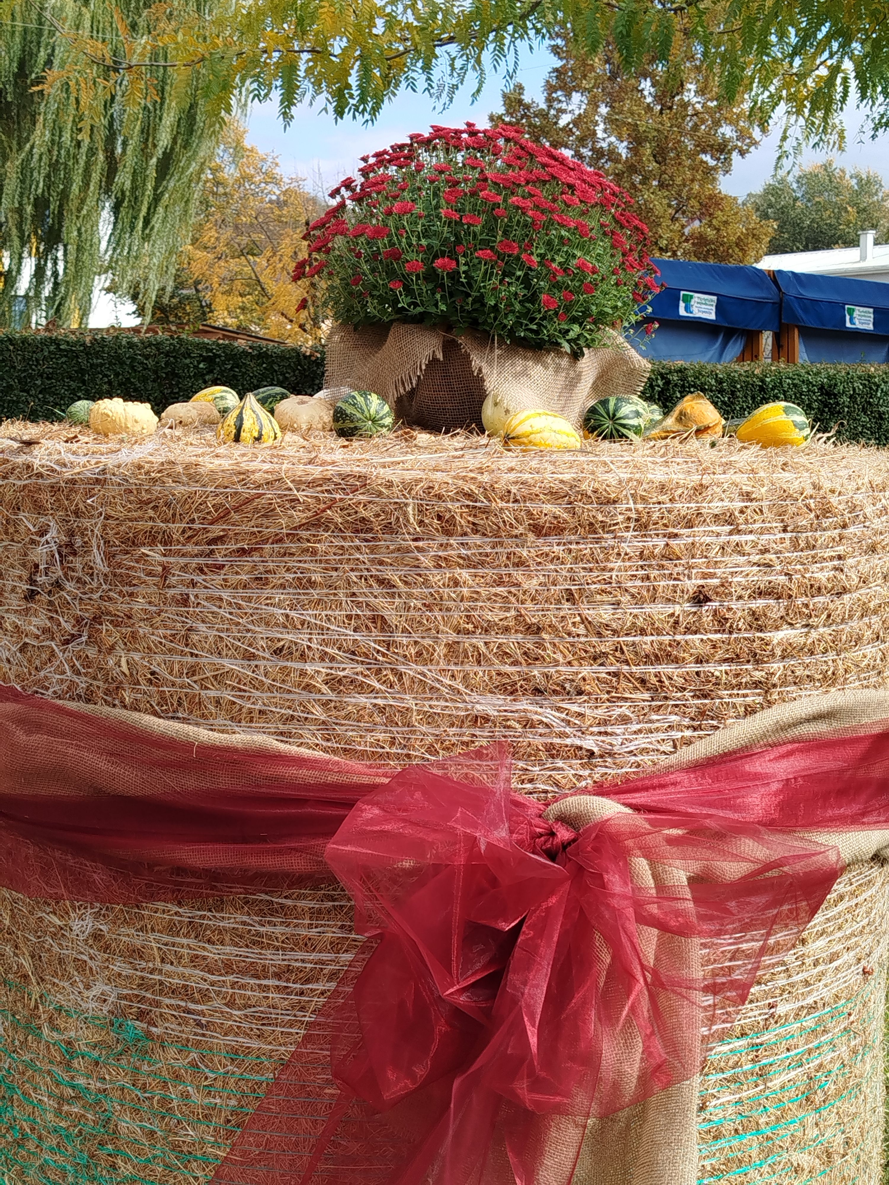 Festive Hay Bale with Autumn Decorations · Free Stock Photo