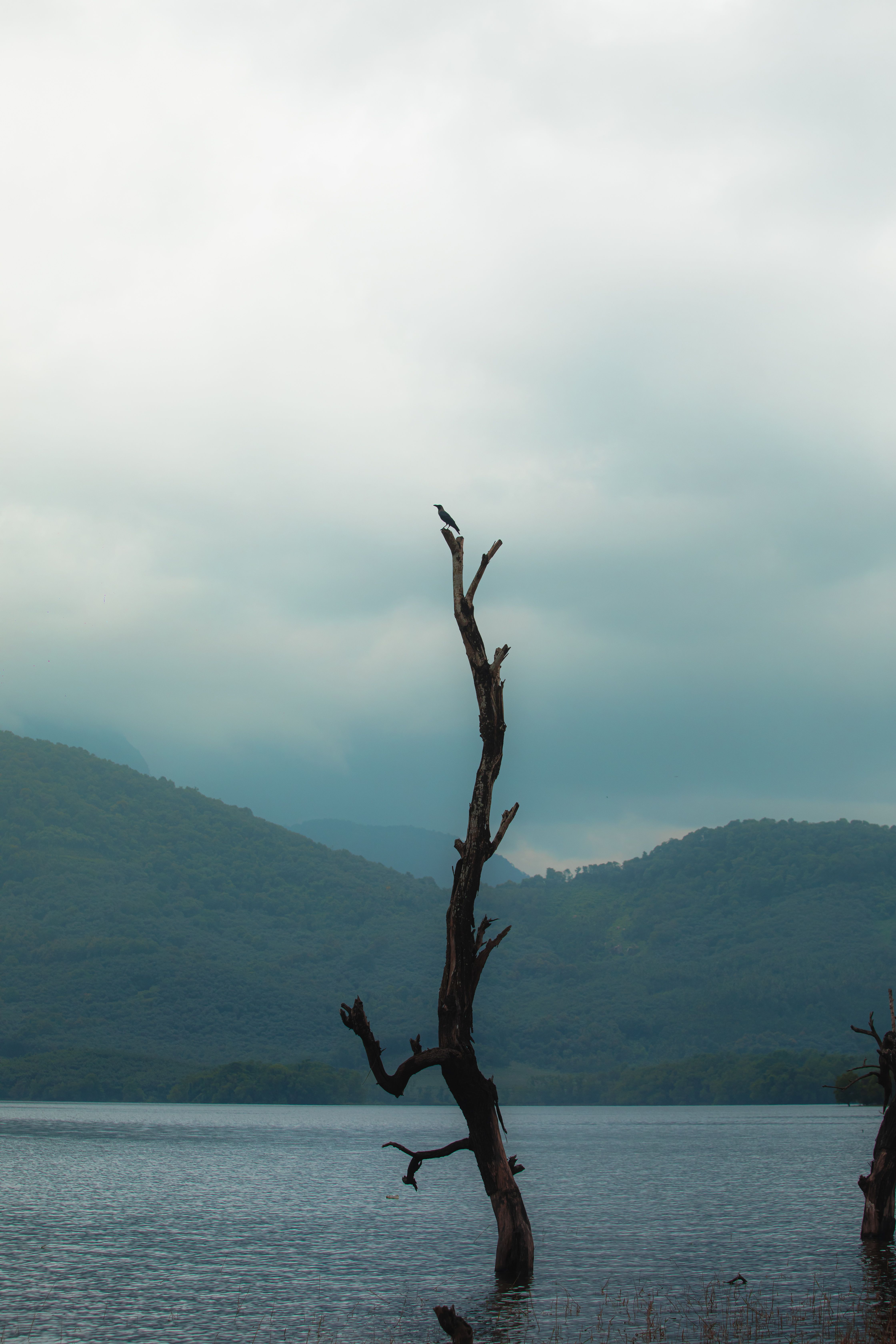 Simple Landscapes Photos, Download The BEST Free Simple Landscapes ...