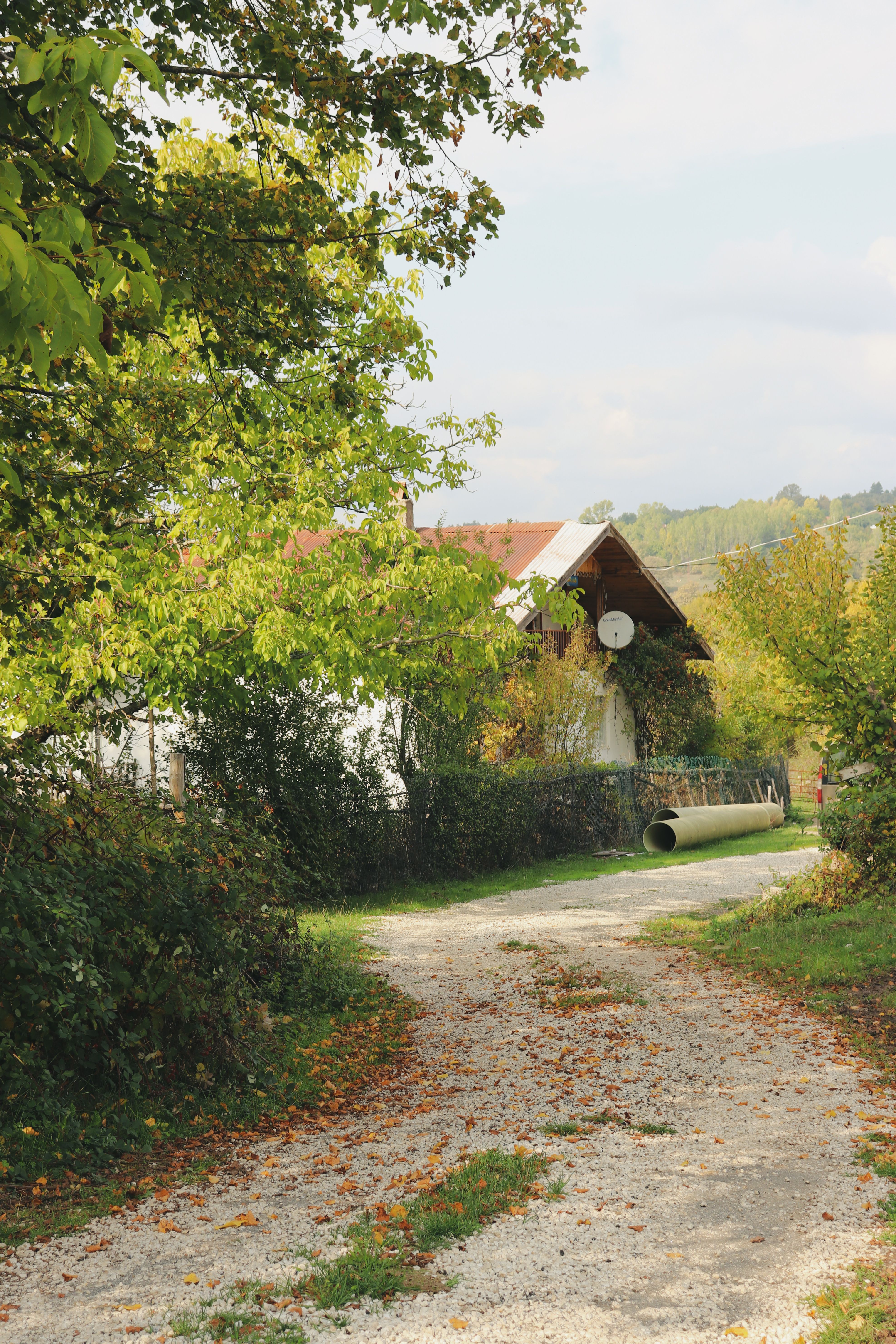 Charming Countryside Path in Quaint Village · Free Stock Photo