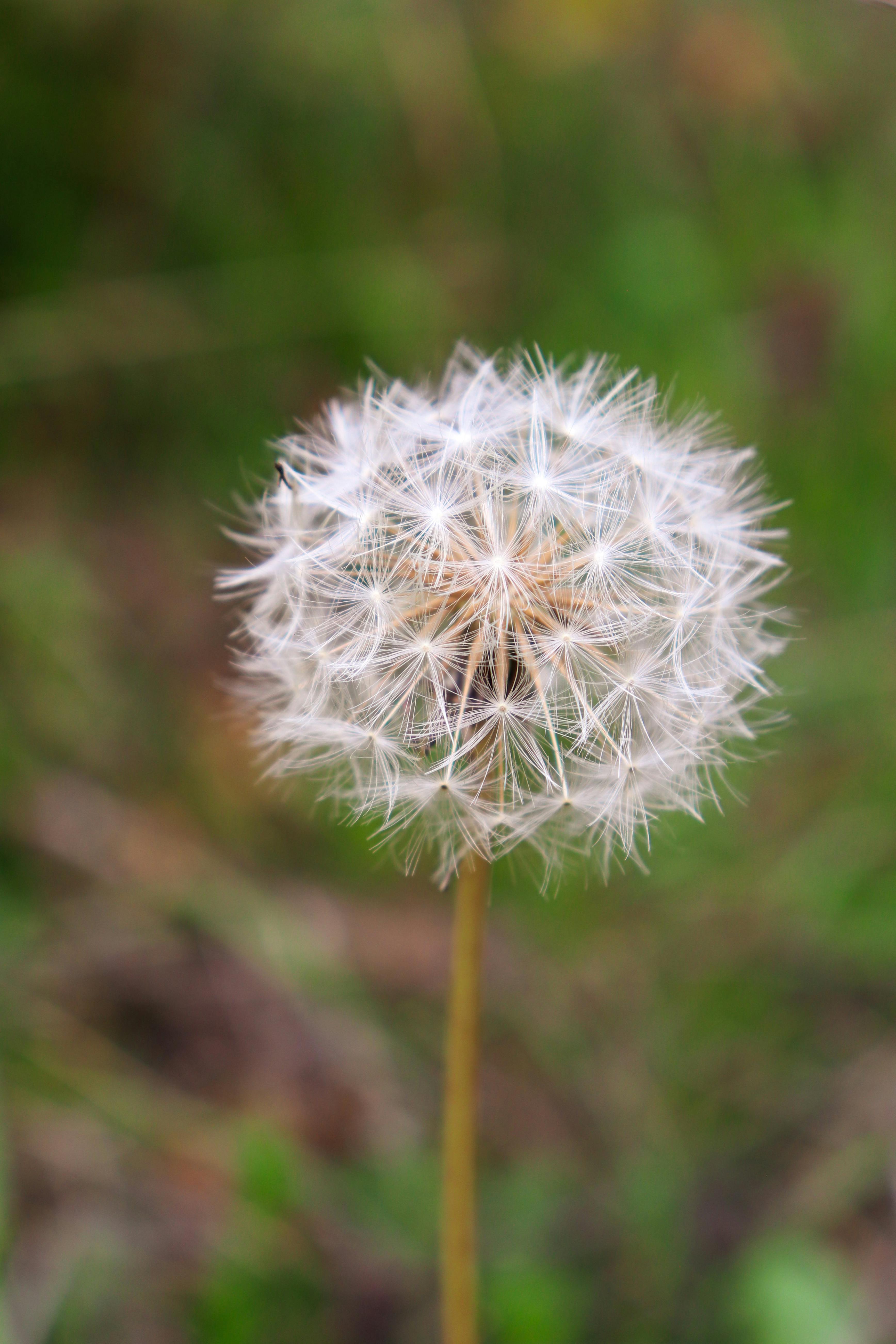 +To+The+Firstibackgroun+Images+Or+Kuccha+Kaam+Hai+Na+Kari+Ni+Hoy+Na ...