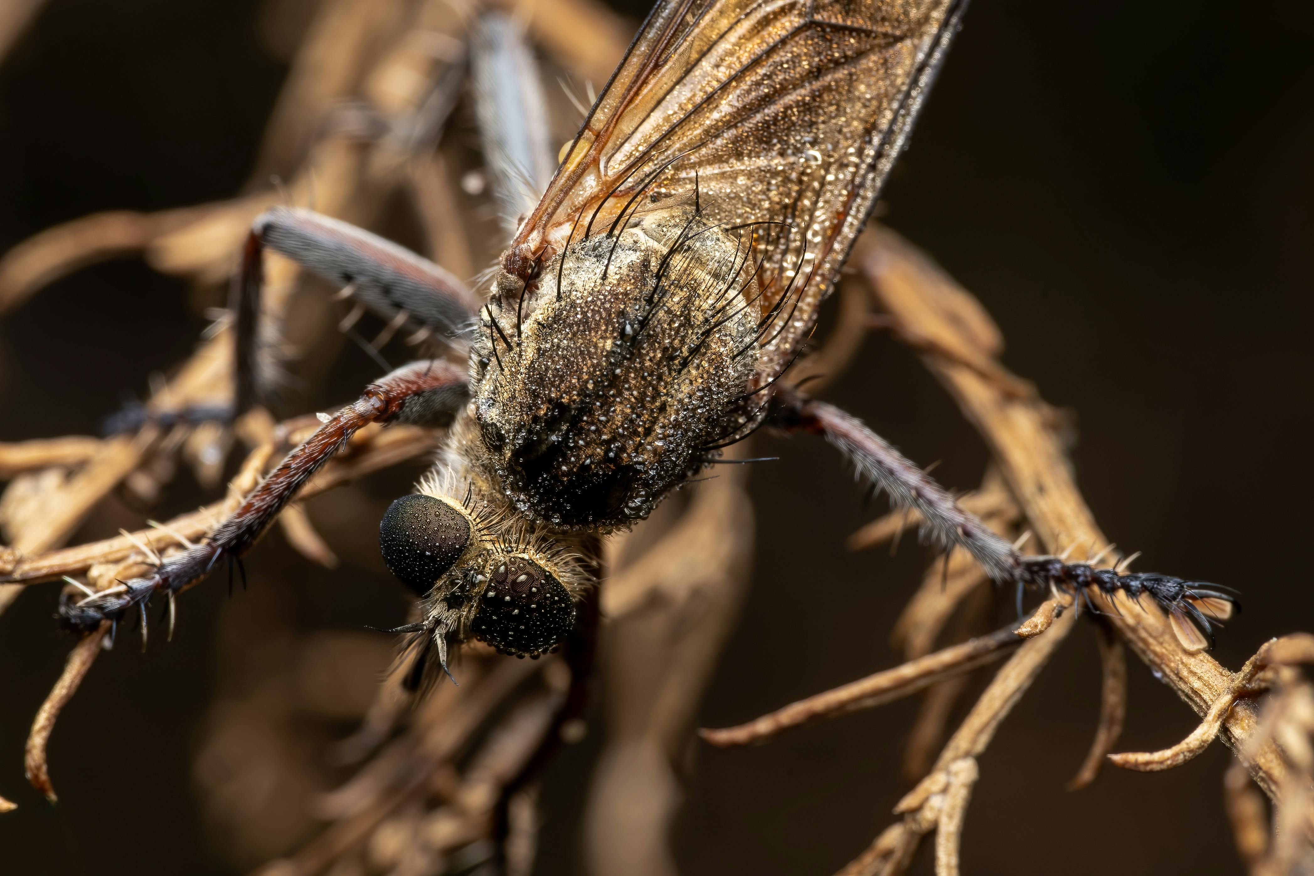 +To+The+Firstibackgroun+Images+Or+Kuccha+Kaam+Hai+Na+Kari+Ni+Hoy+Na ...