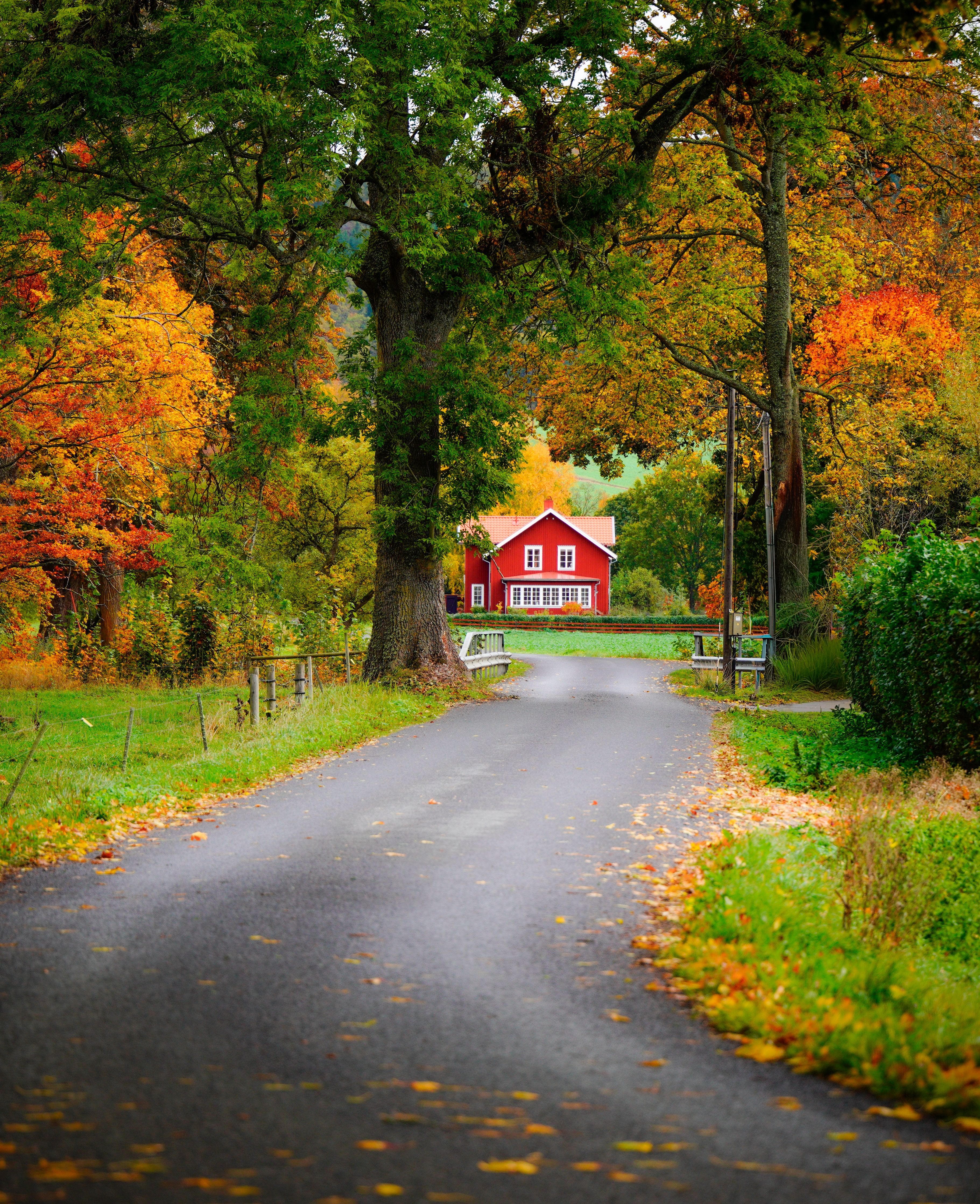 Charming Red House in Vibrant Autumn Forest · Free Stock Photo