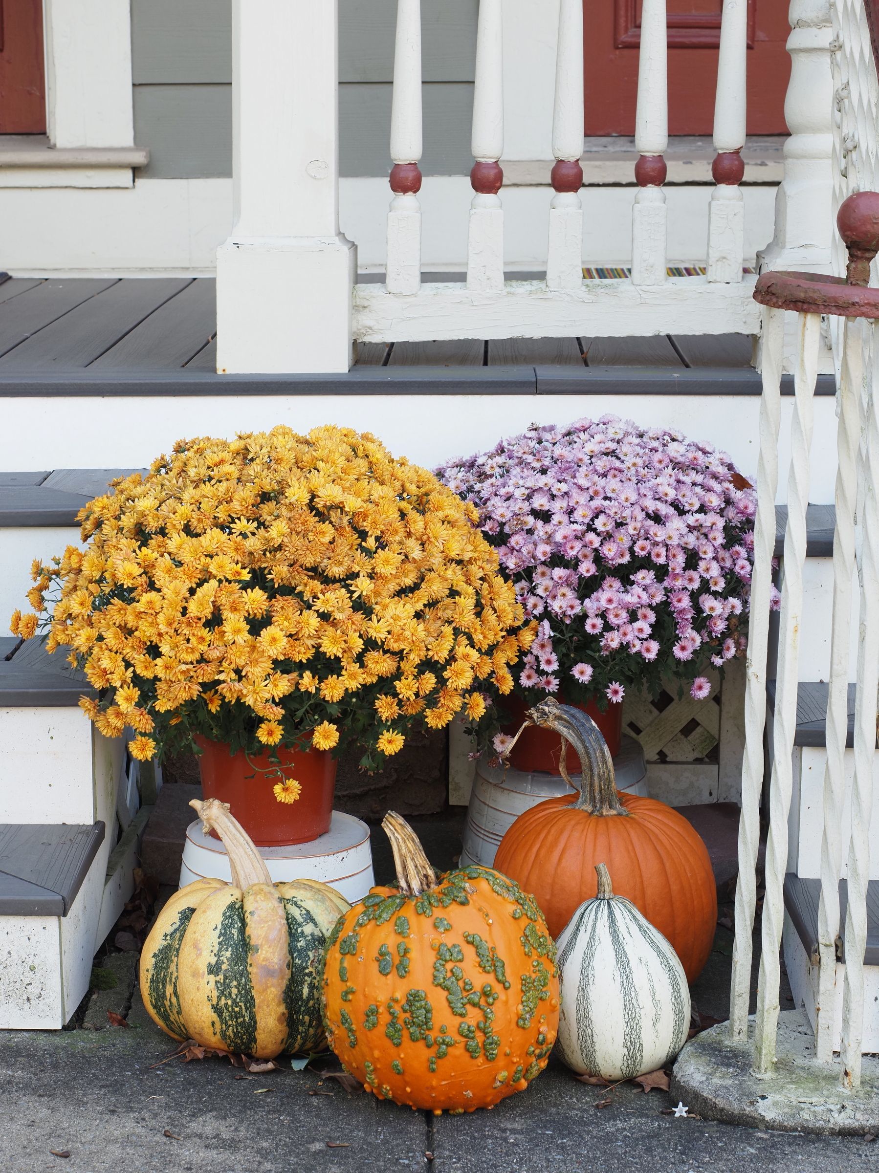 Mum Home Photos, Download The BEST Free Mum Home Stock Photos & HD Images