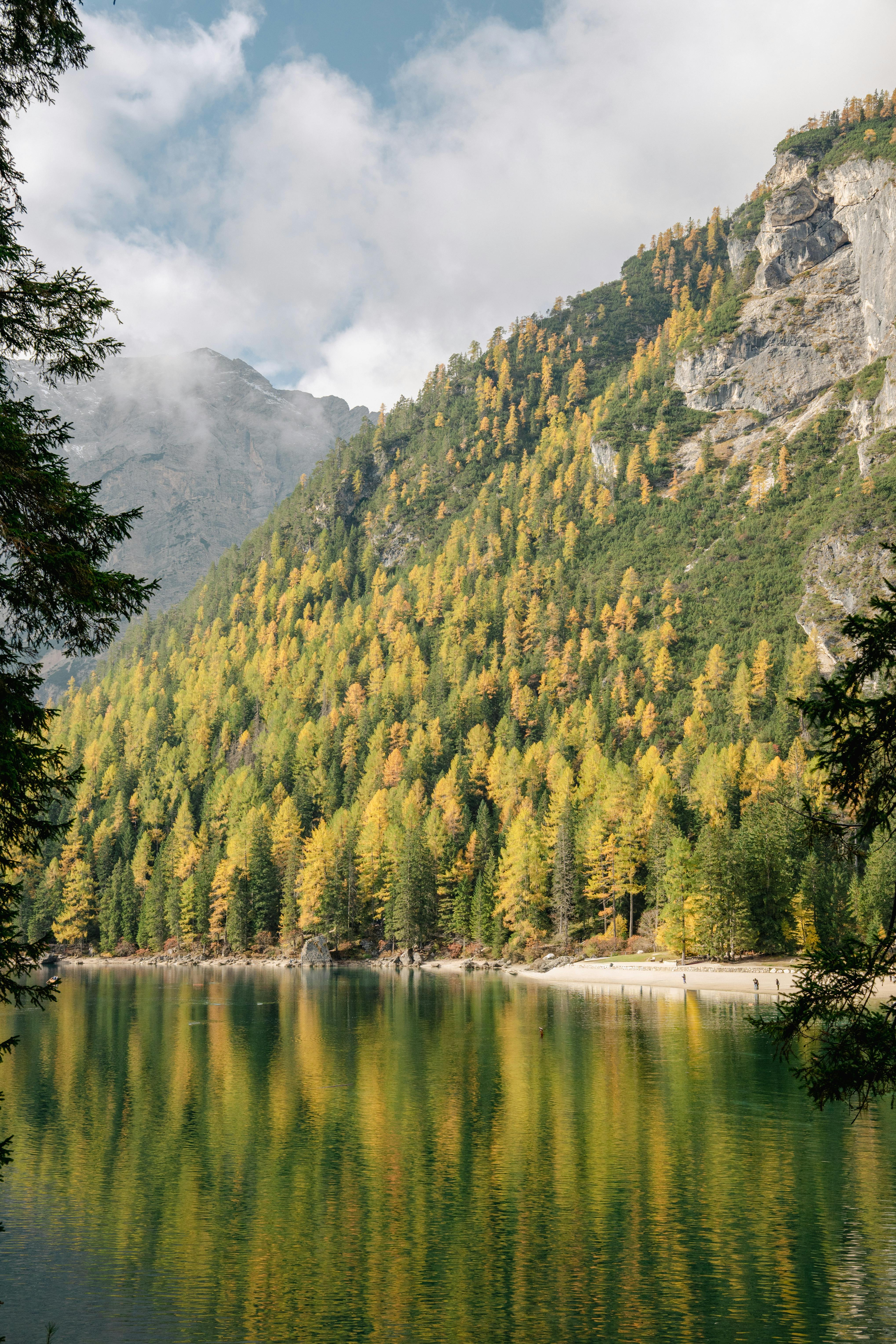 Patient Fall Photos, Download The BEST Free Patient Fall Stock Photos ...