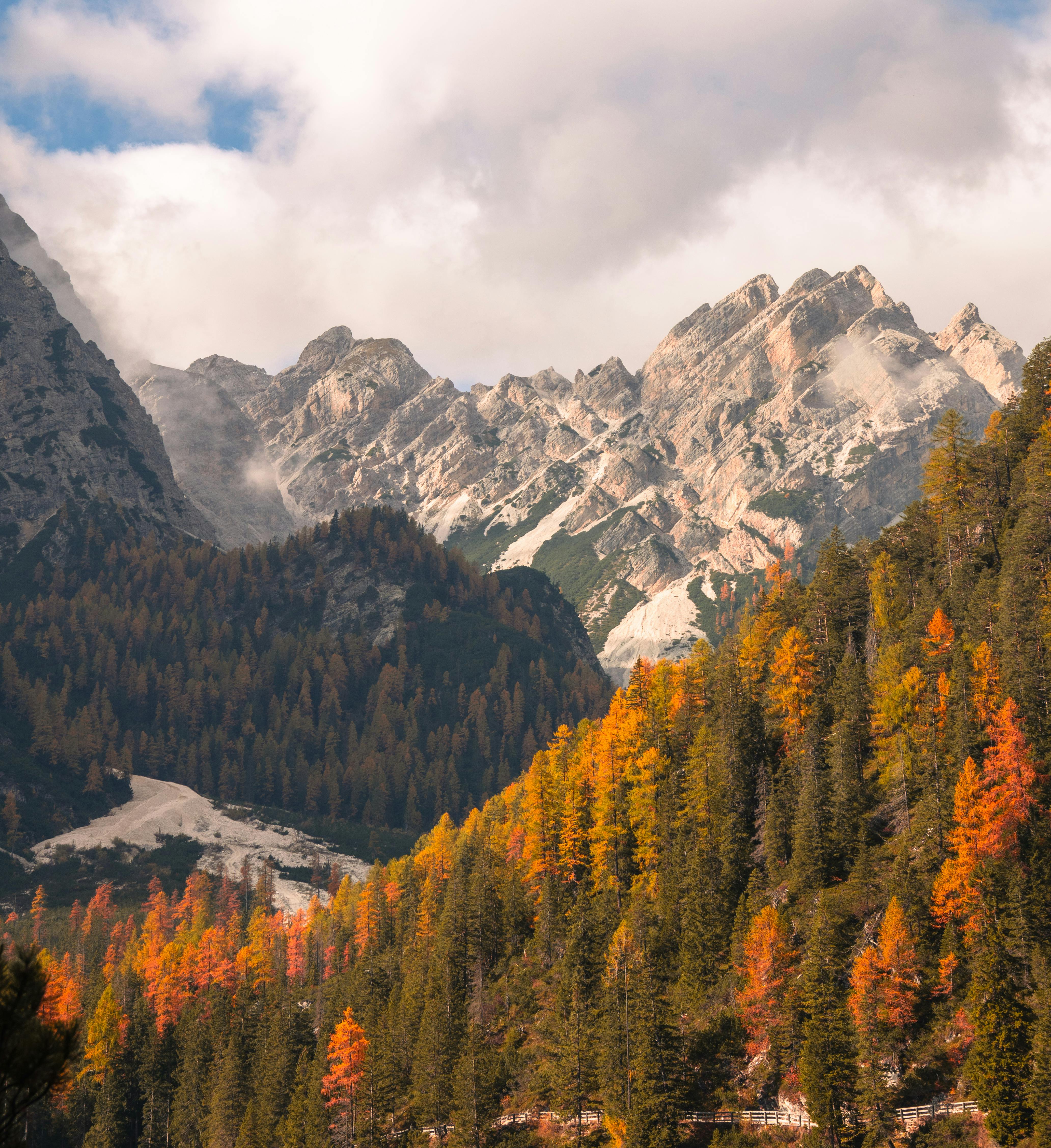 2,000,000+张最精彩的“电商背景图”图片 · 100%免费下载 · Pexels素材图片