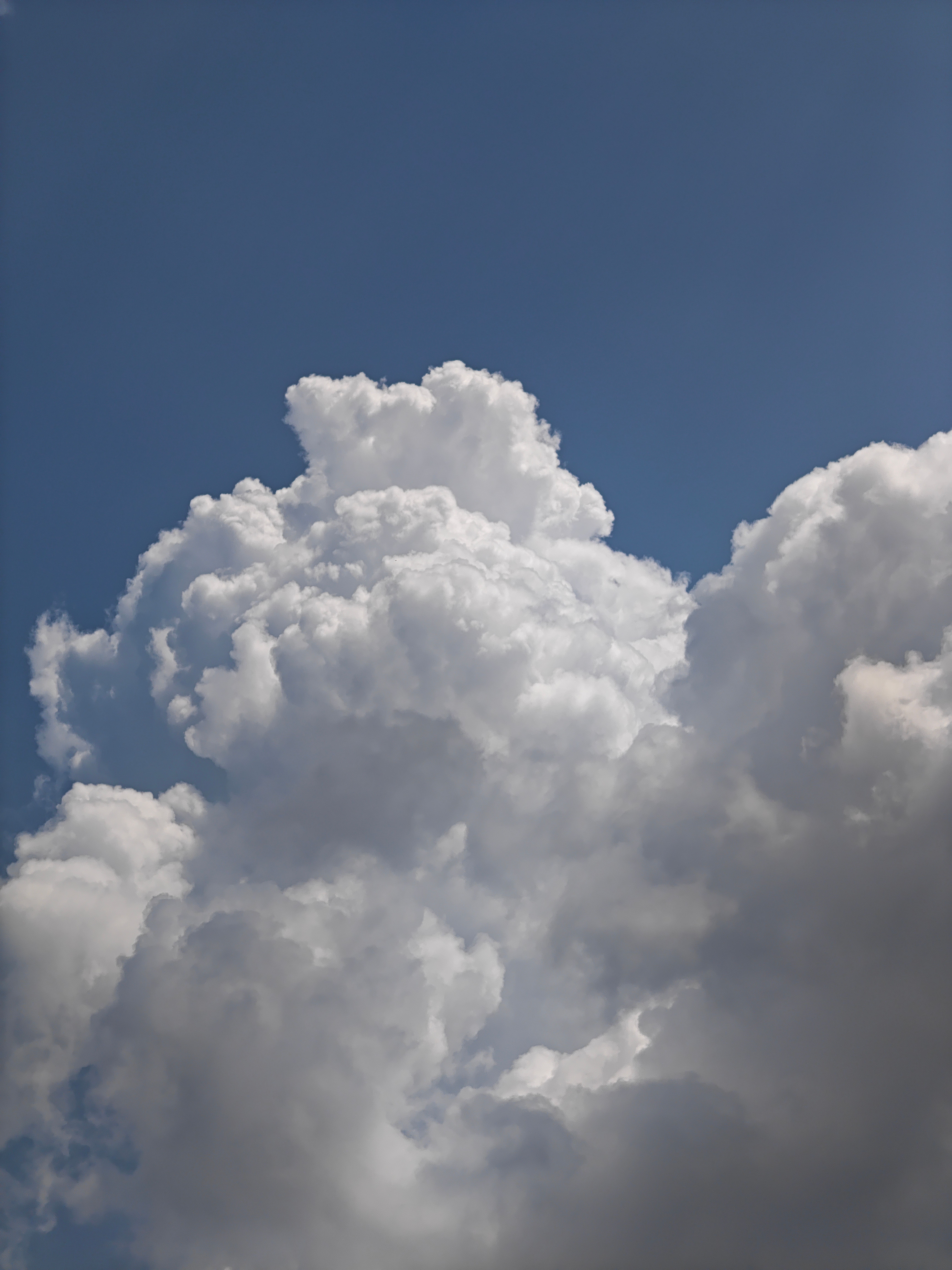 Cumulus Clouds Photos, Download The BEST Free Cumulus Clouds Stock ...