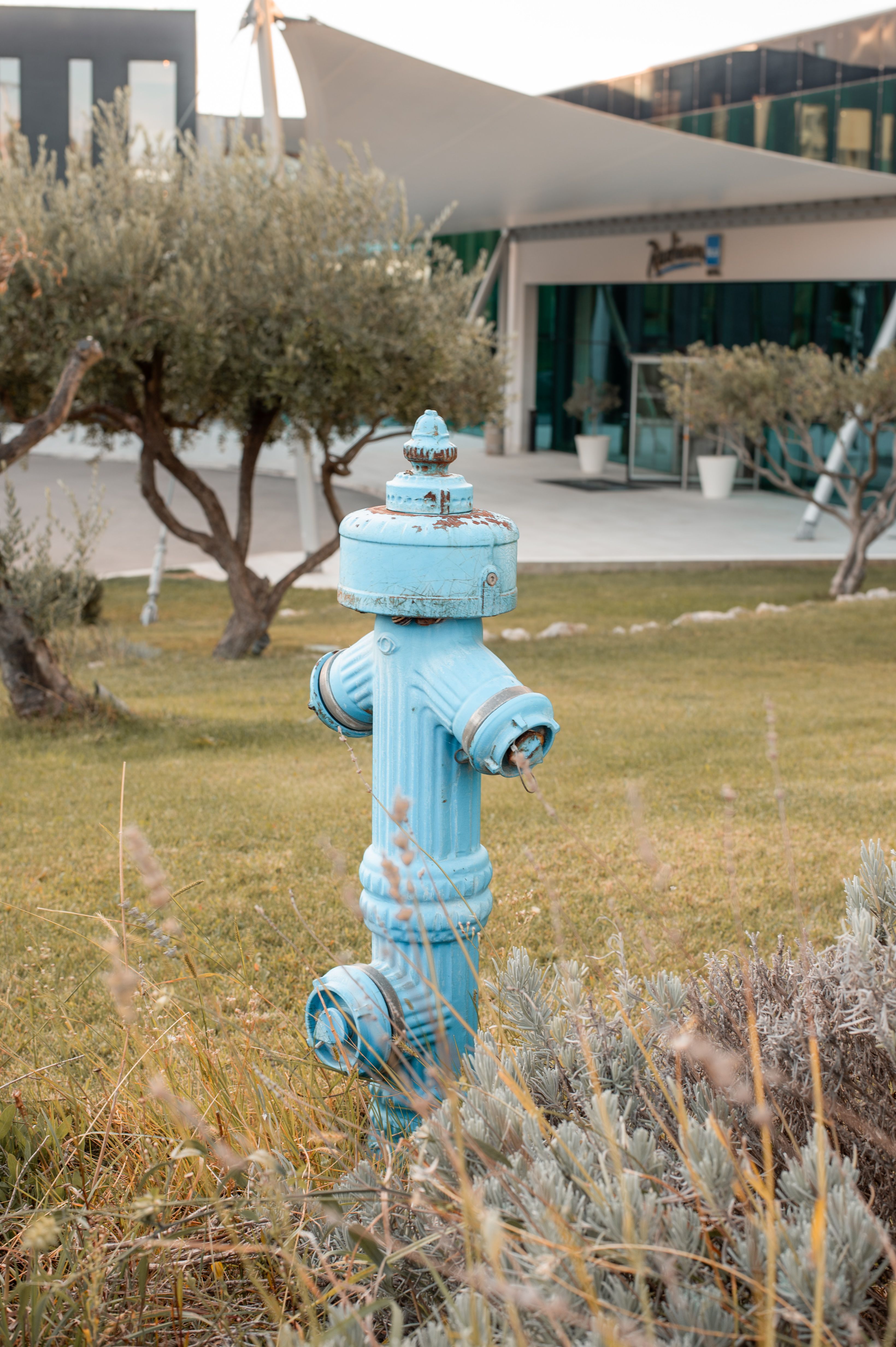 Blue Fire Hydrant in a Modern Urban Park Setting · Free Stock Photo