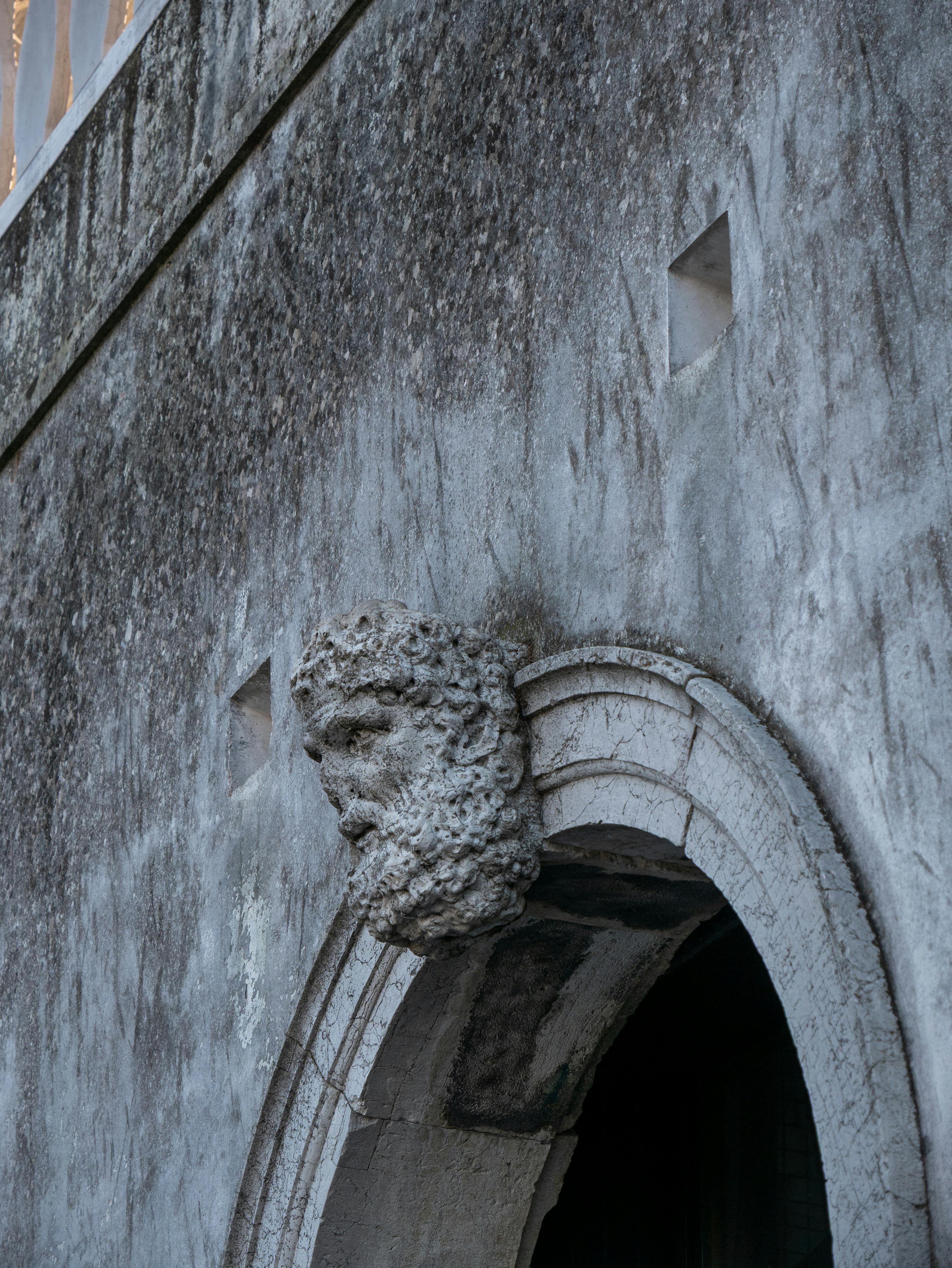 Grey Pfp Photos, Download The BEST Free Grey Pfp Stock Photos & HD Images