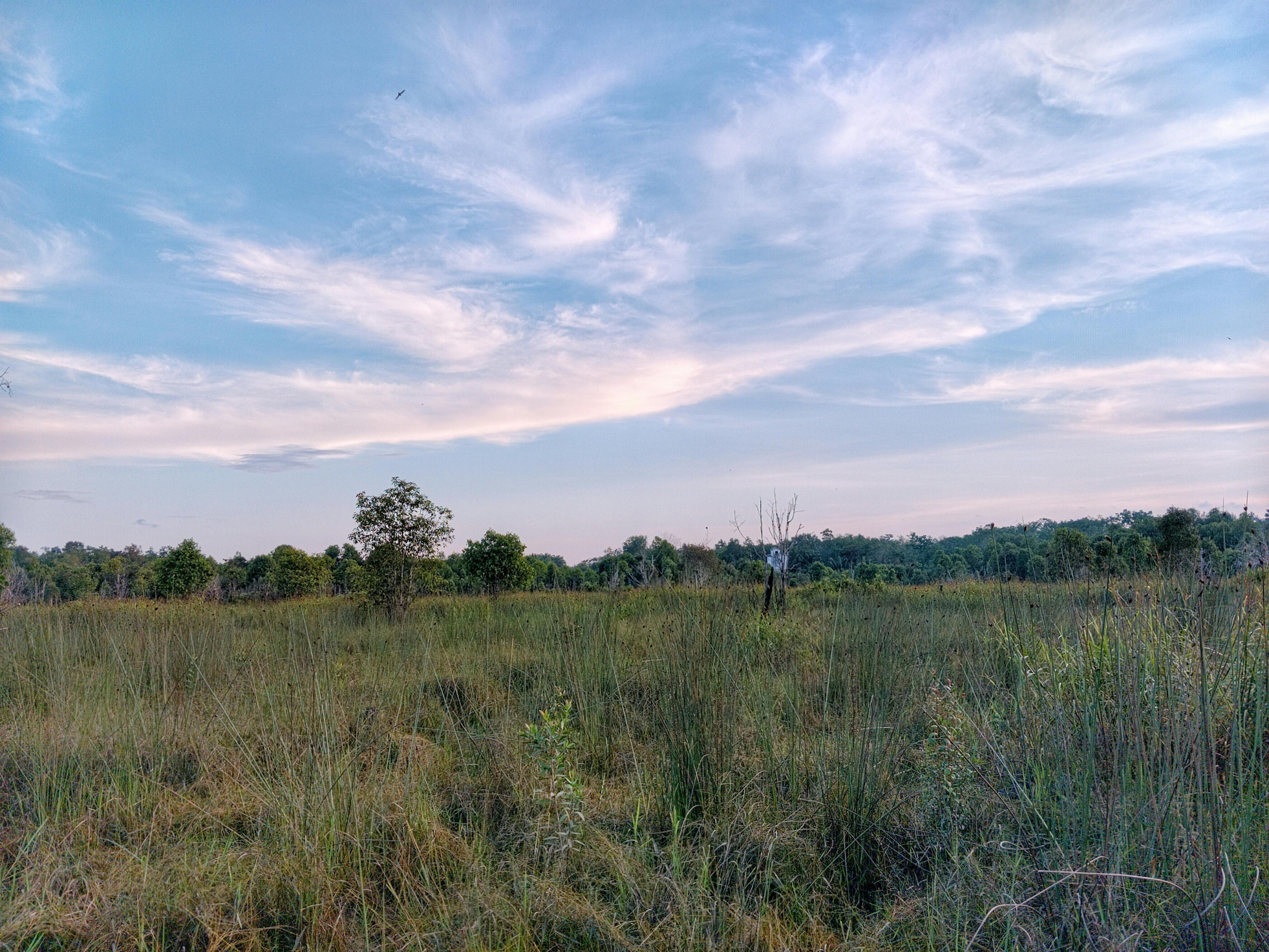 Plot Photos, Download The BEST Free Plot Stock Photos & HD Images