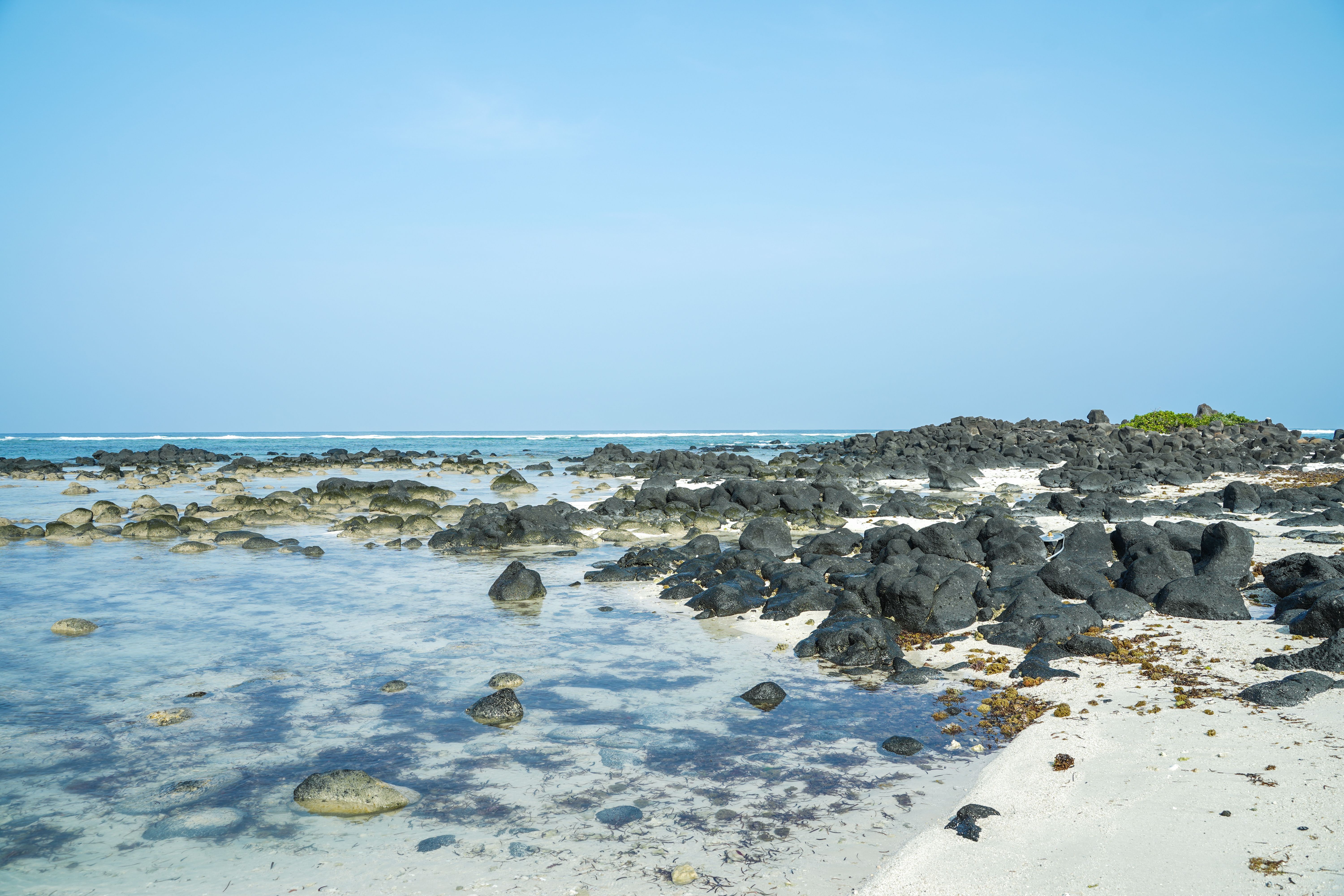 Pristine Beach with Volcanic Rock Formations · Free Stock Photo