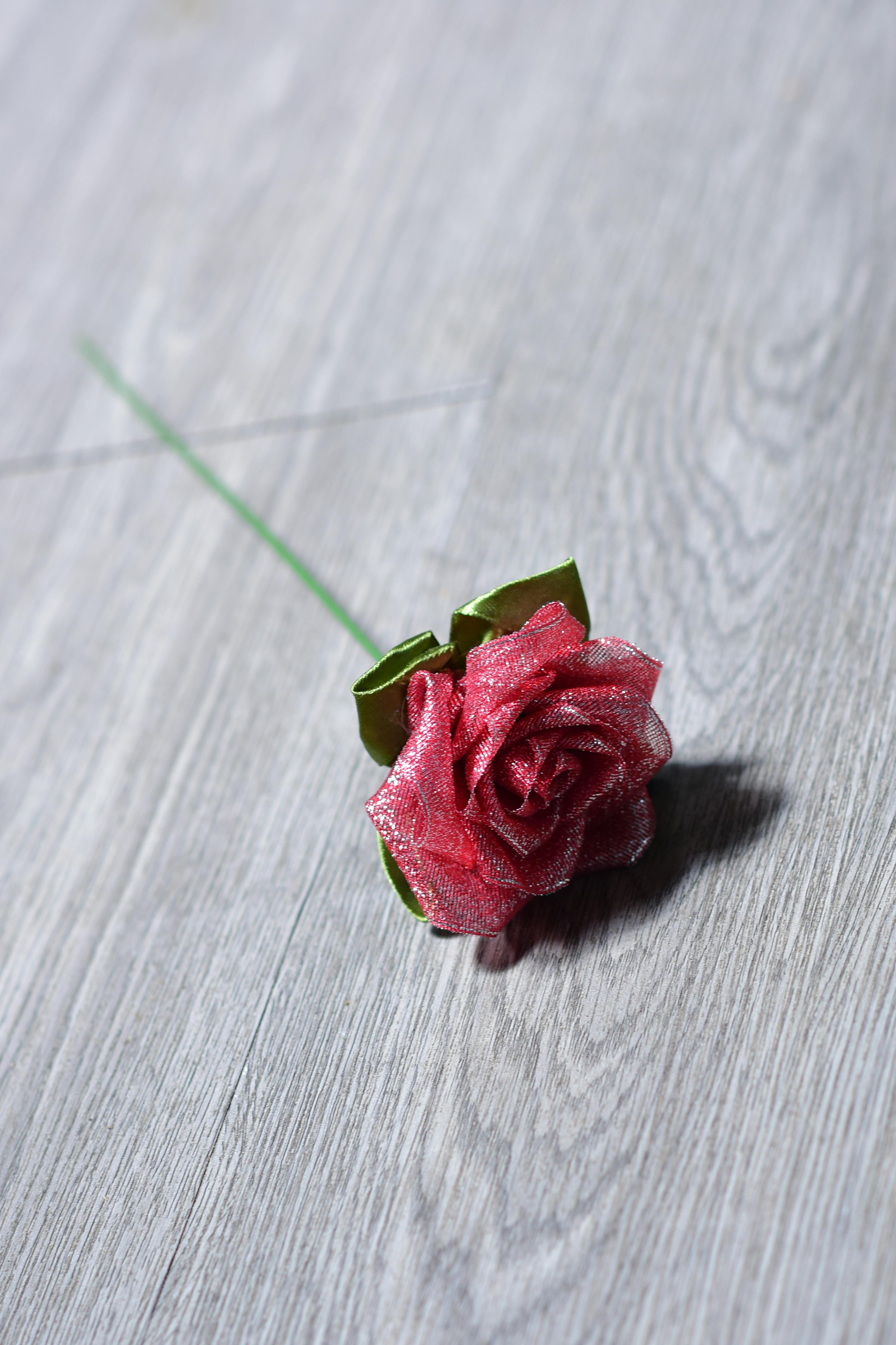 Realistic Photos, Download The BEST Free Realistic Stock Photos & HD Images