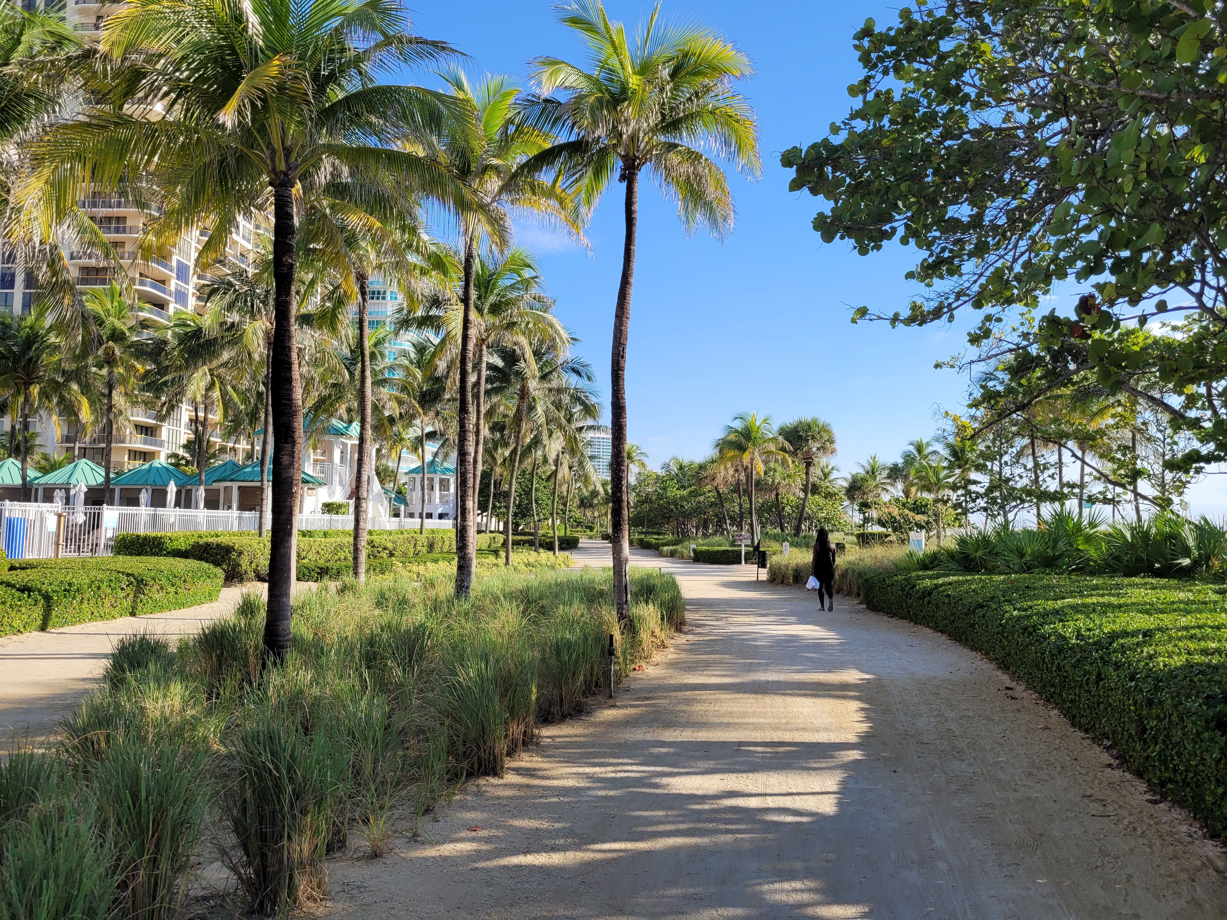 Miami Photos, Download The BEST Free Miami Stock Photos & HD Images