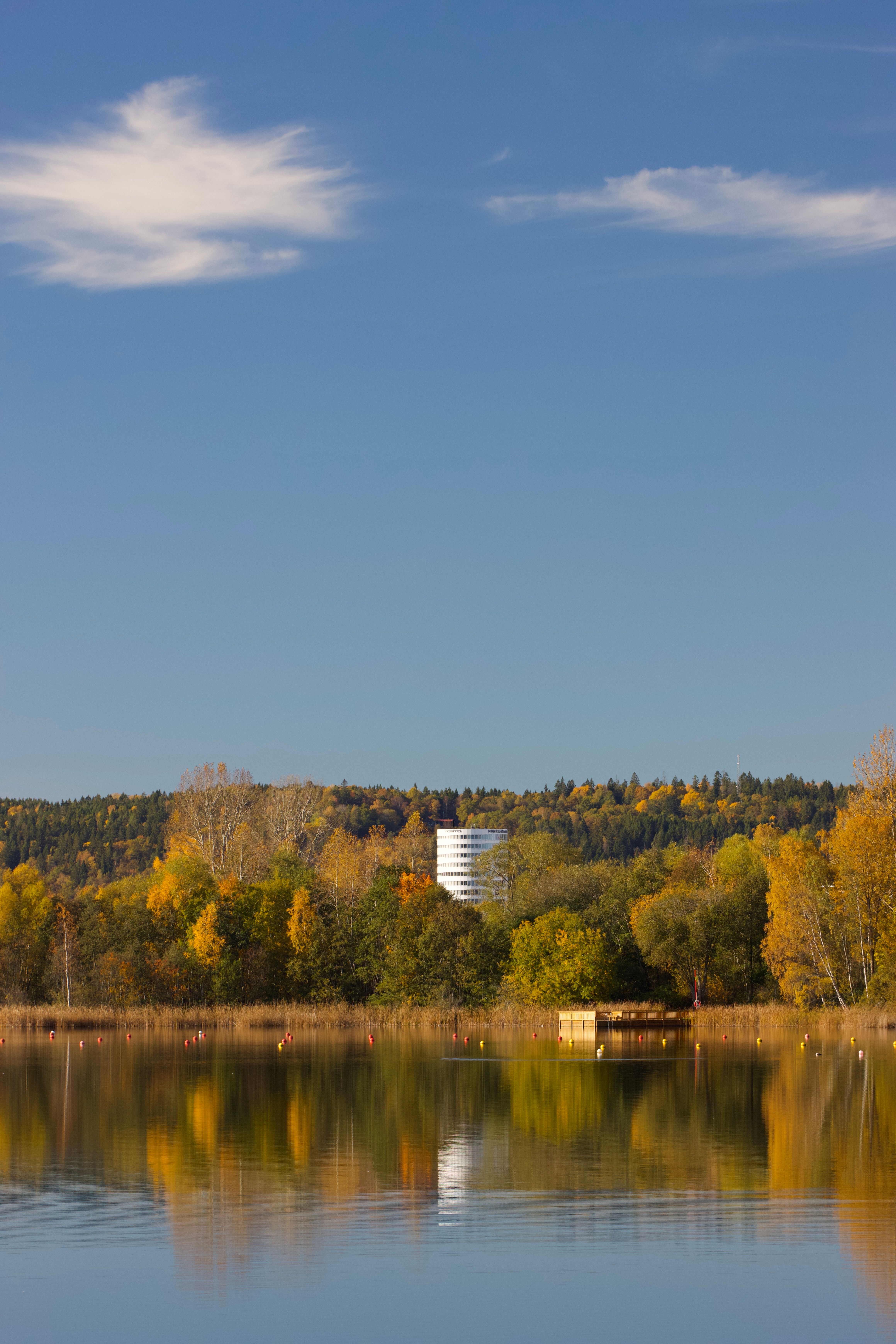 Water Pollution 4k Photos, Download The BEST Free Water Pollution 4k ...
