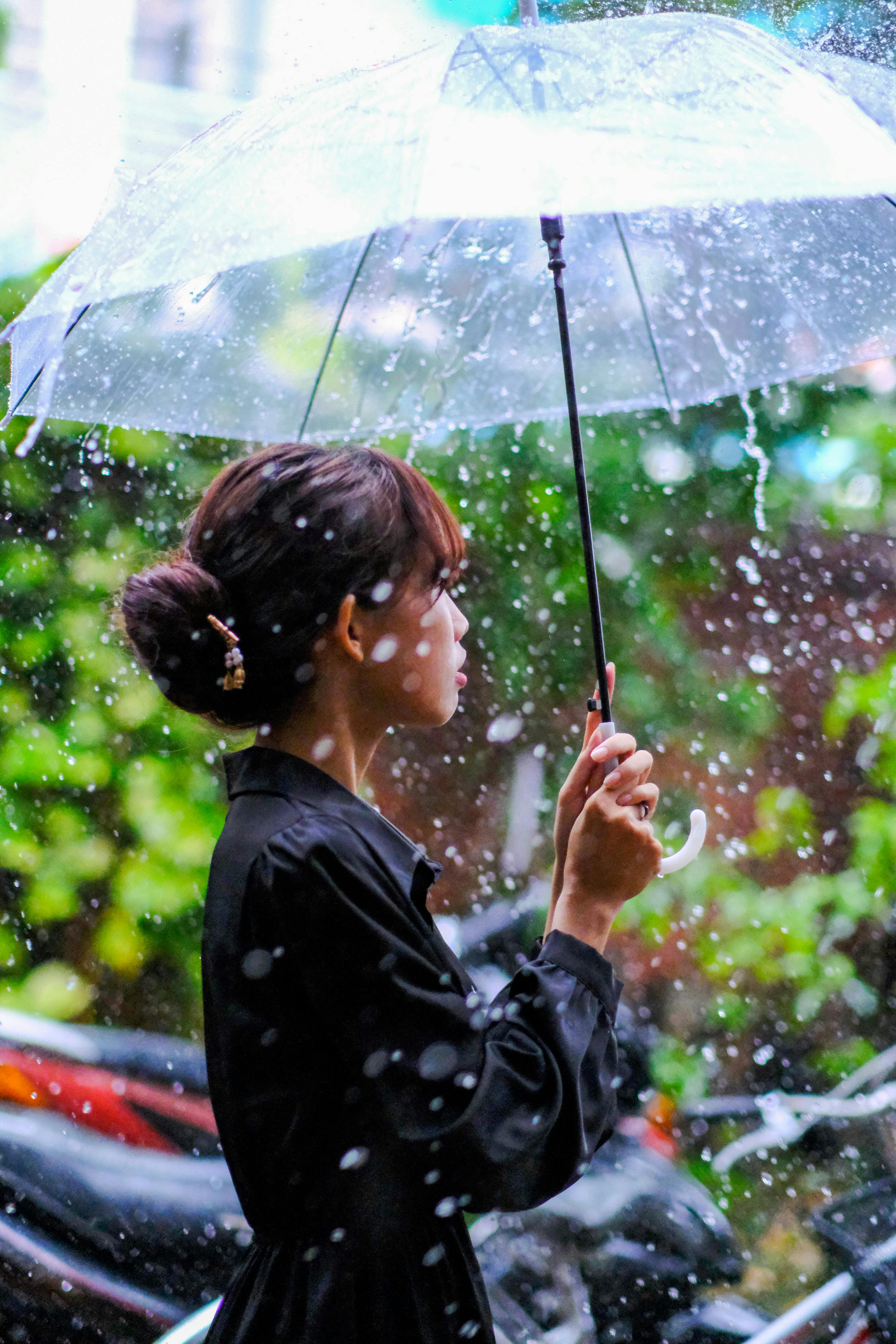 Rainfall Photos, Download The BEST Free Rainfall Stock Photos & HD Images