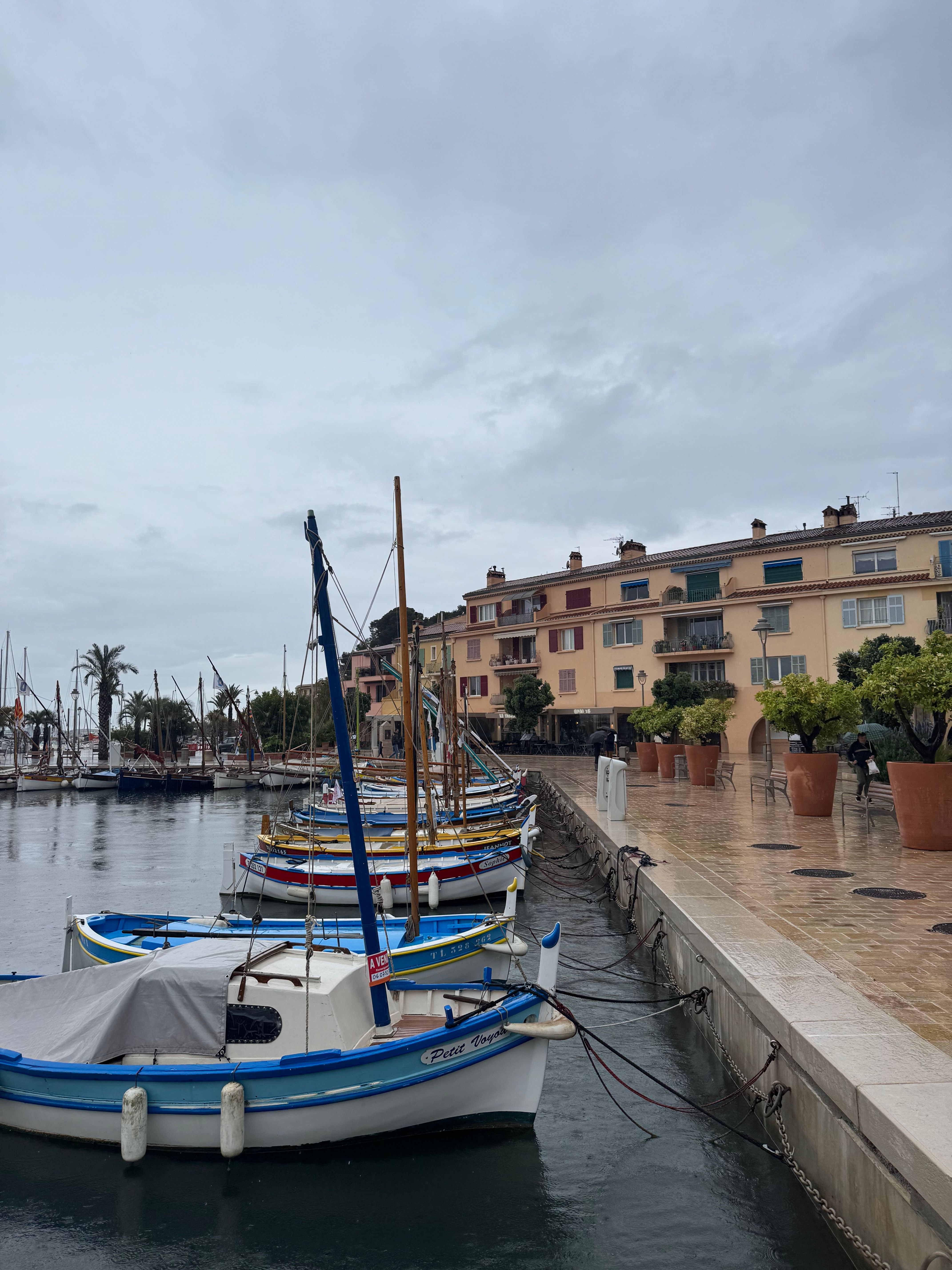 Vio+Mer Photos, Download The BEST Free Vio+Mer Stock Photos & HD Images