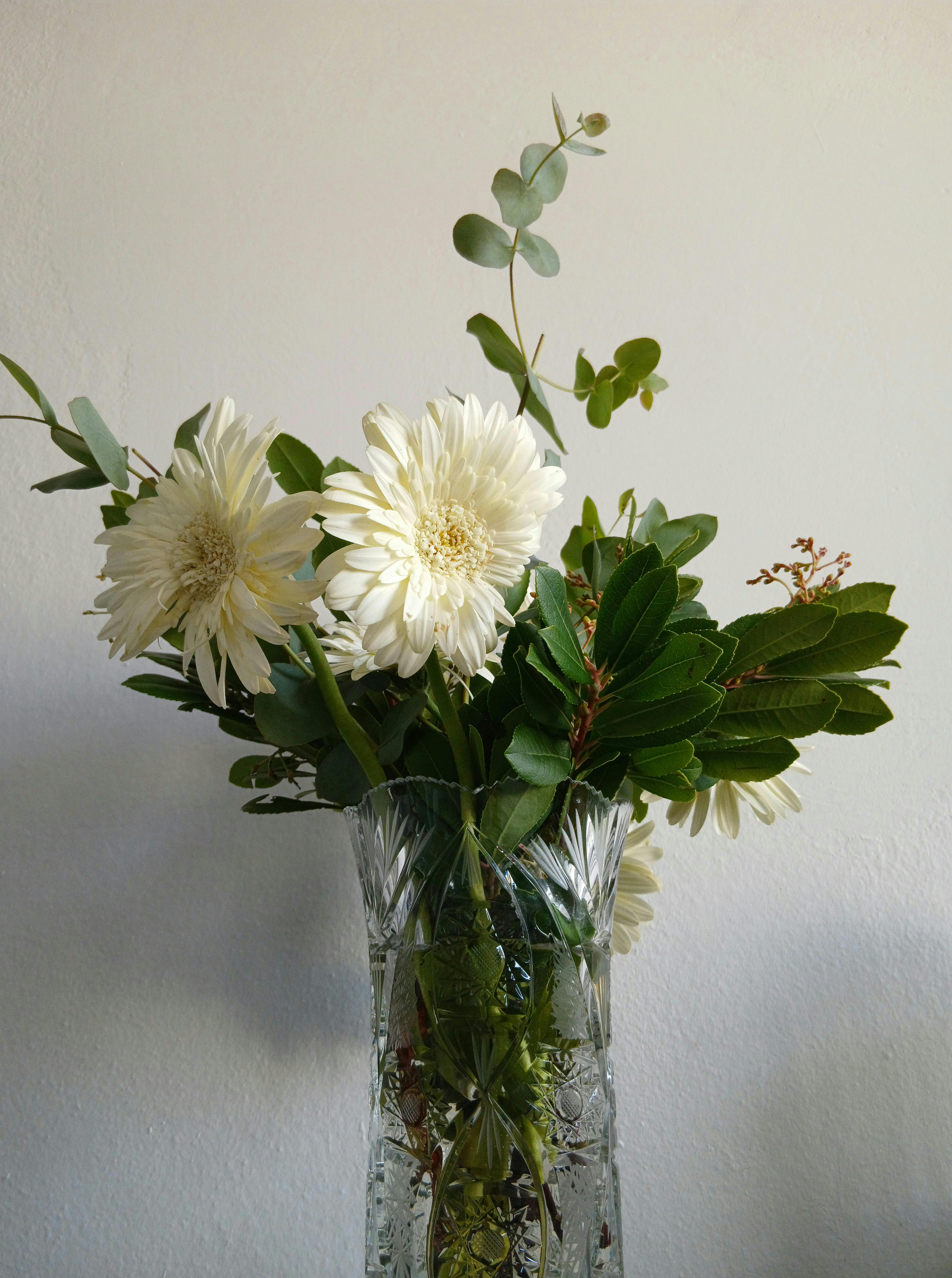 742.356+ Fotos y Imágenes de Fondo+para+tiktok+live Gratis · Banco de ...