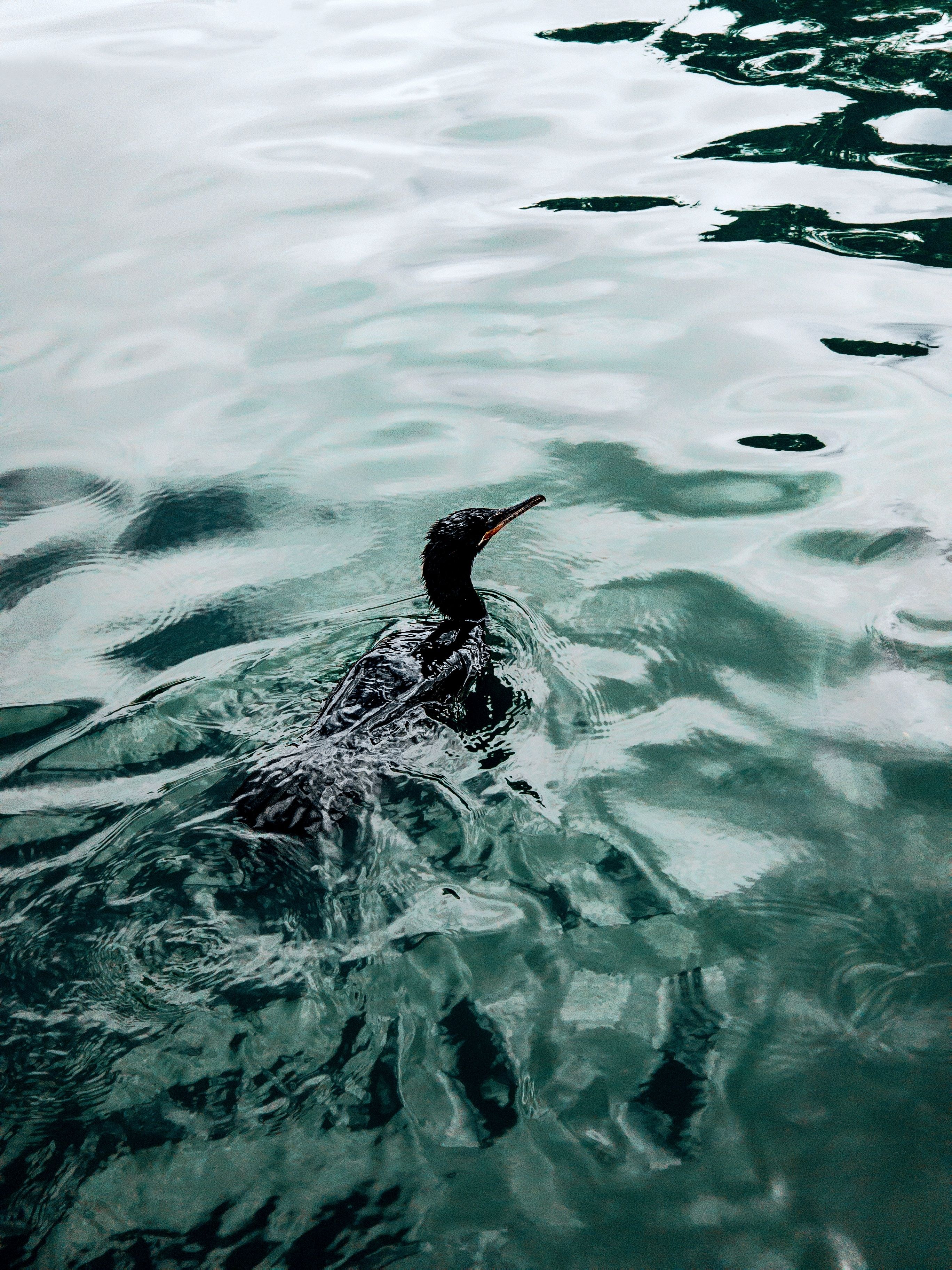 Free!) Photos, Download The BEST Free Free!) Stock Photos & HD Images
