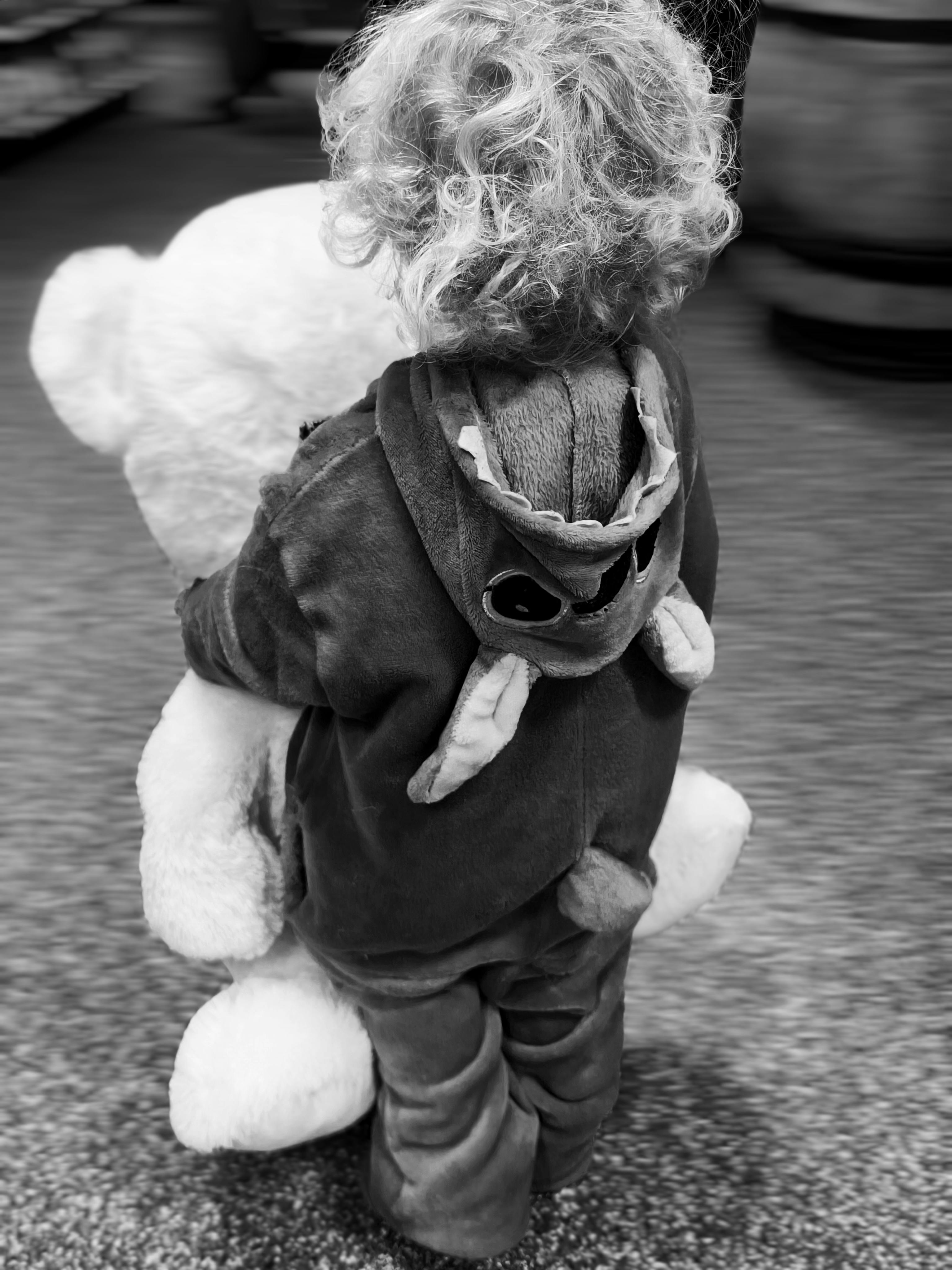 Kindness Photos, Download The BEST Free Kindness Stock Photos & HD Images