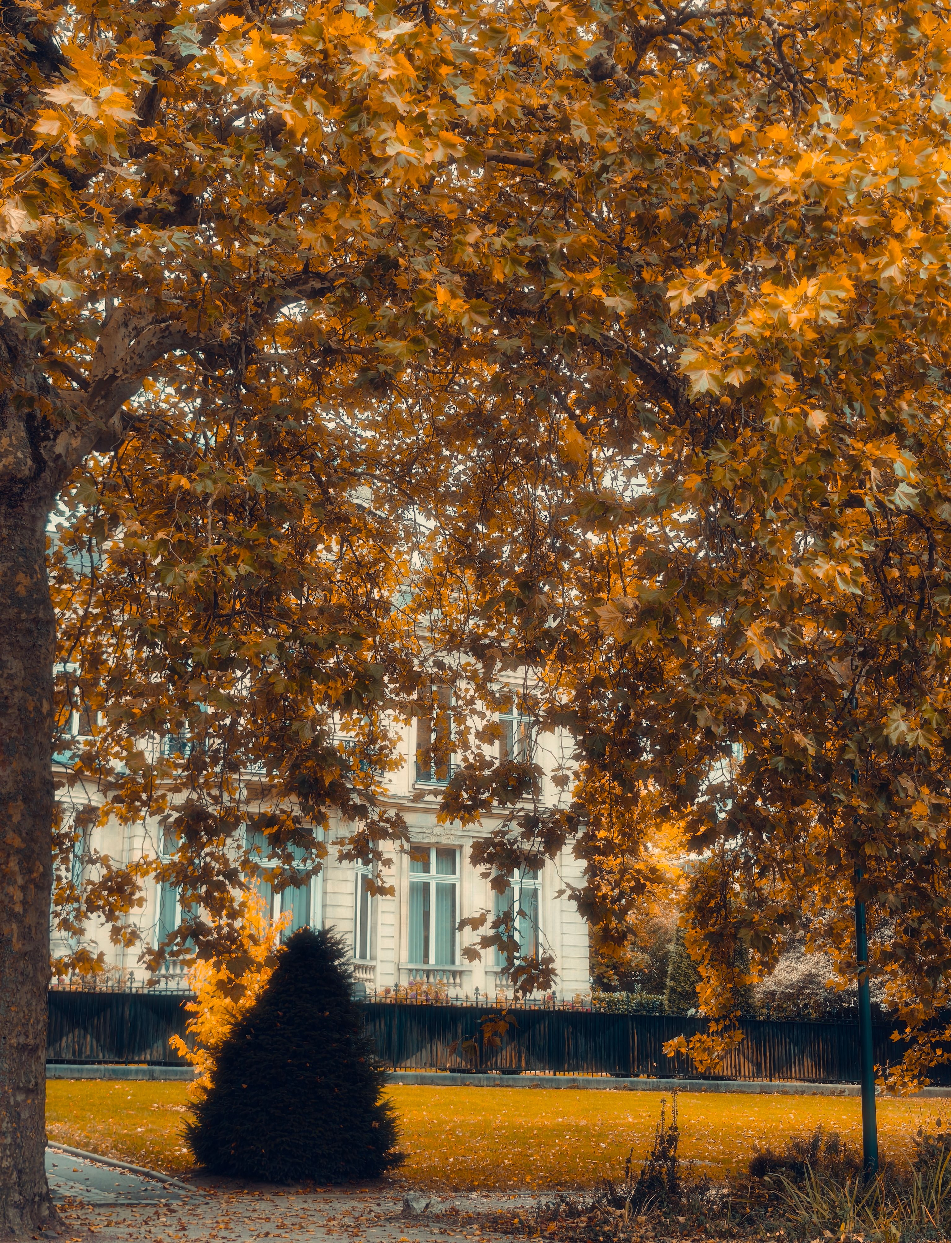 Autumn Leaves Framing Historic Building · Free Stock Photo