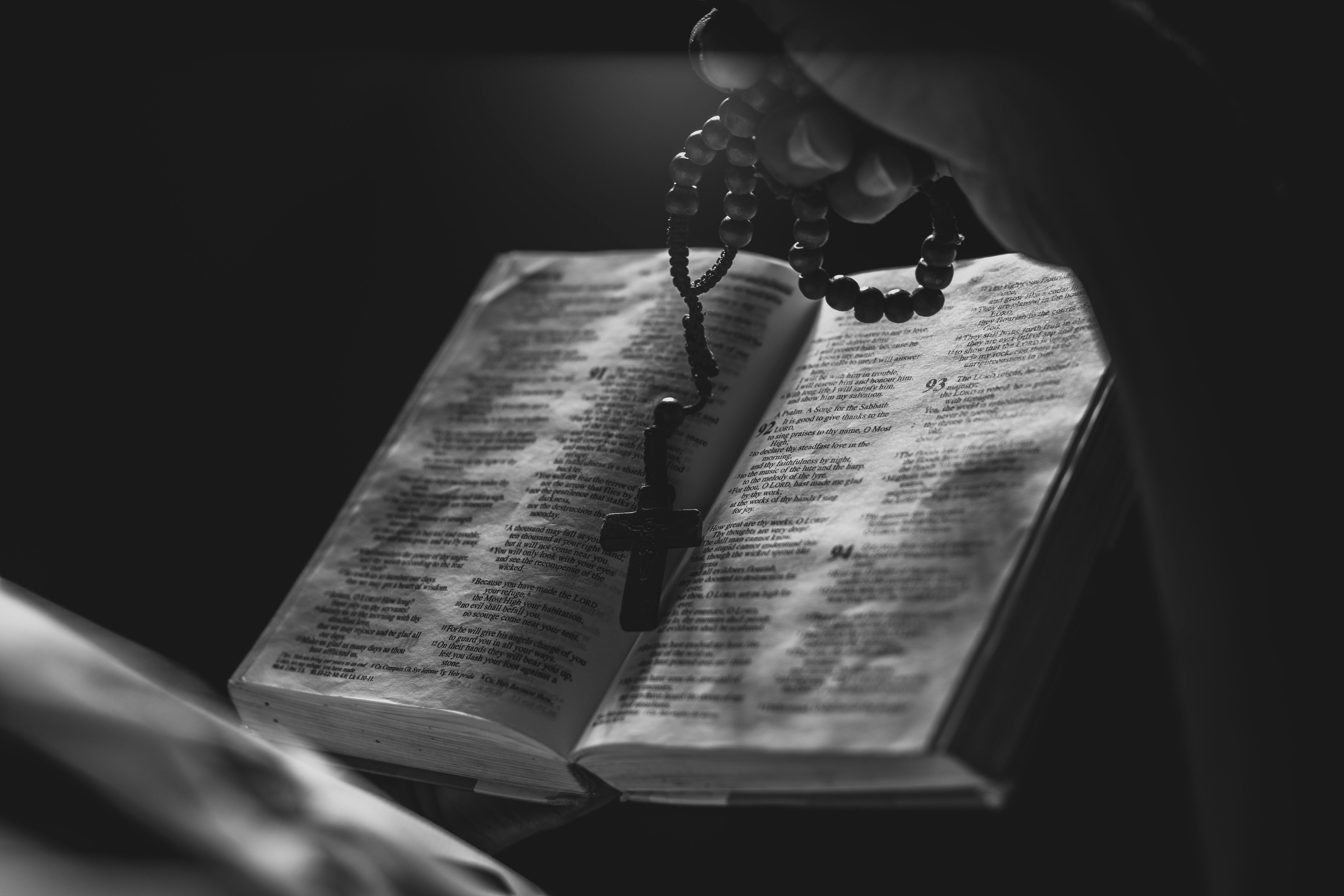 Reading Bible Photos, Download The BEST Free Reading Bible Stock Photos ...