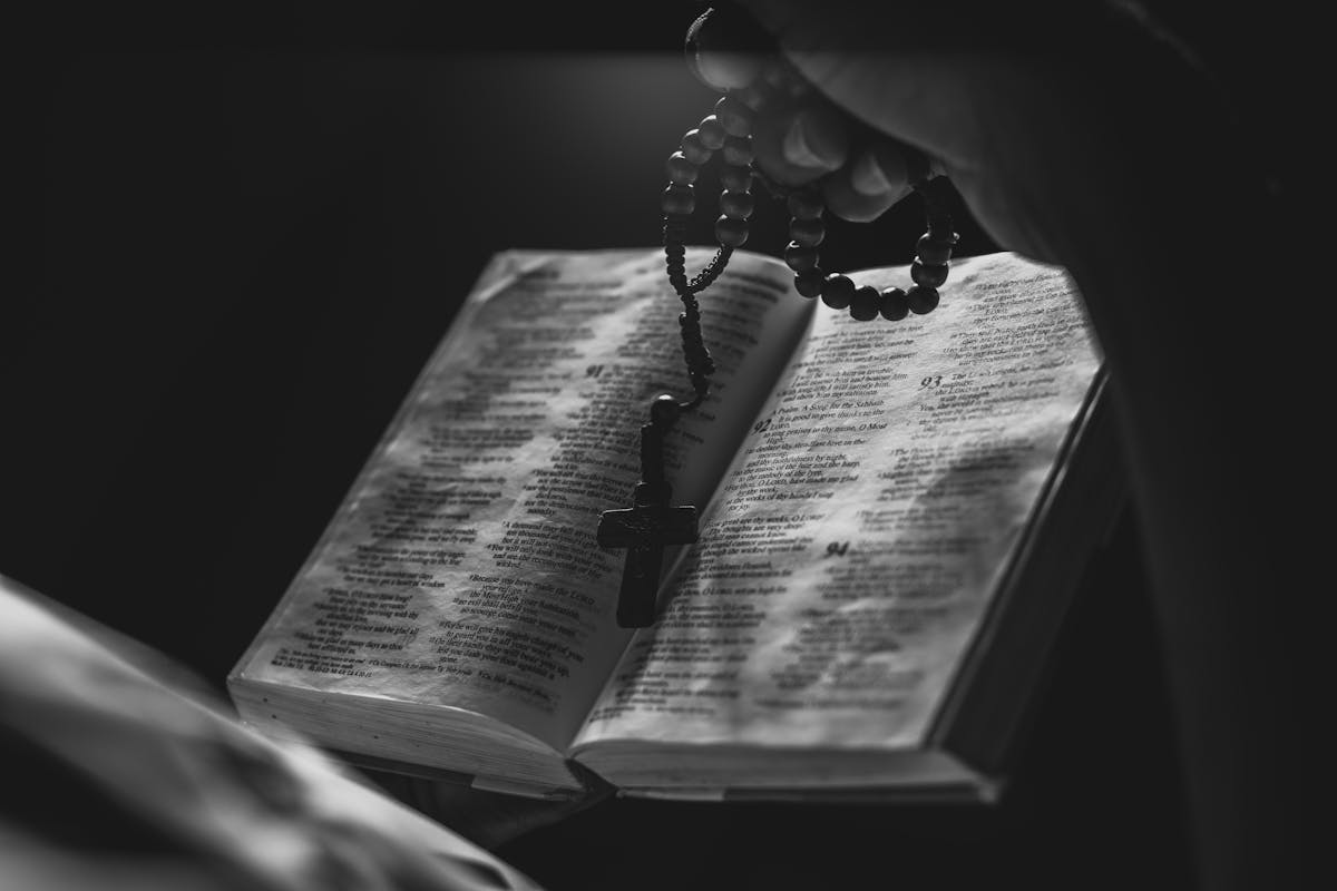 Reading Bible Photos, Download The BEST Free Reading Bible Stock Photos ...